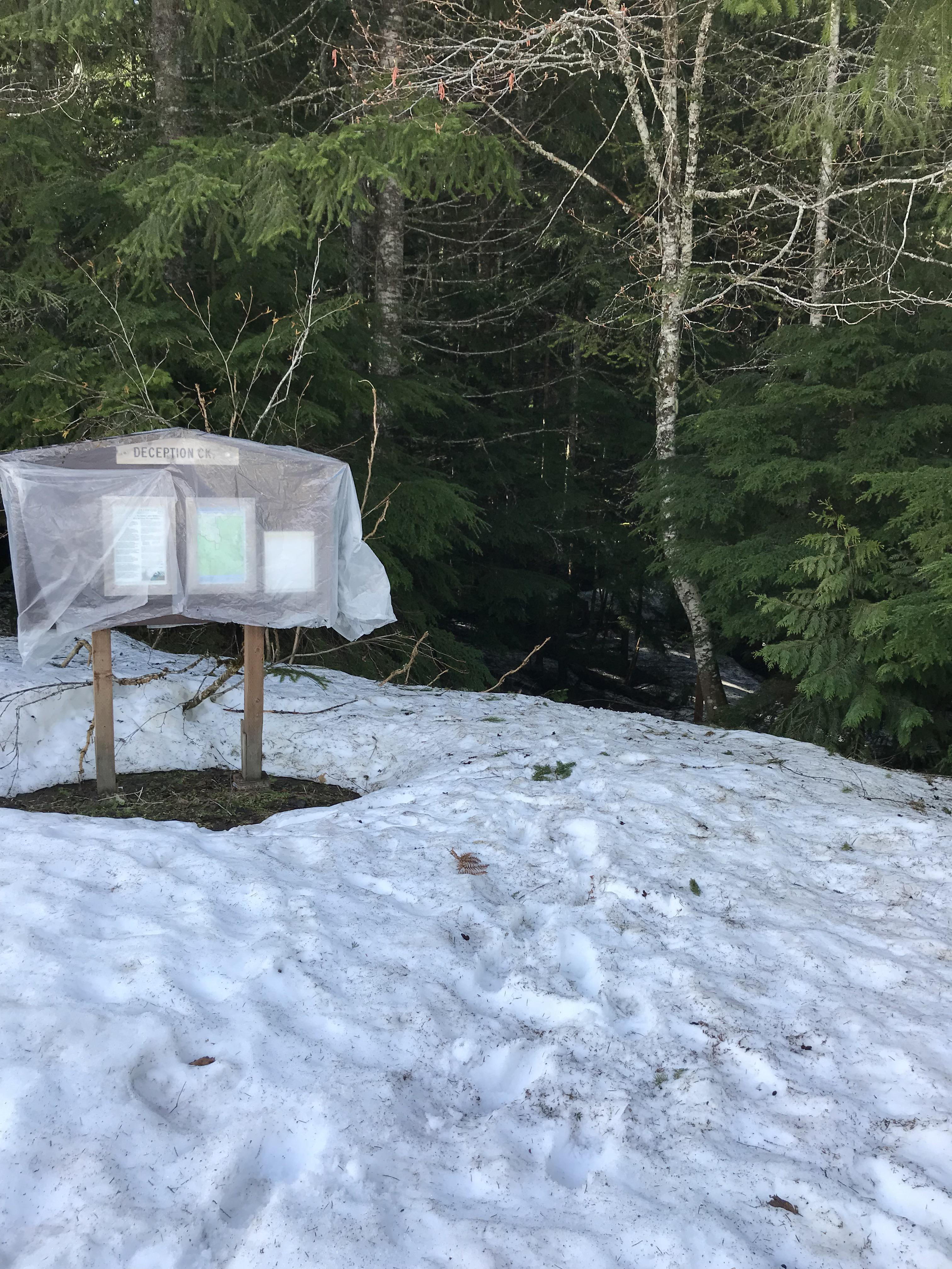 Alpine Falls — Washington Trails Association