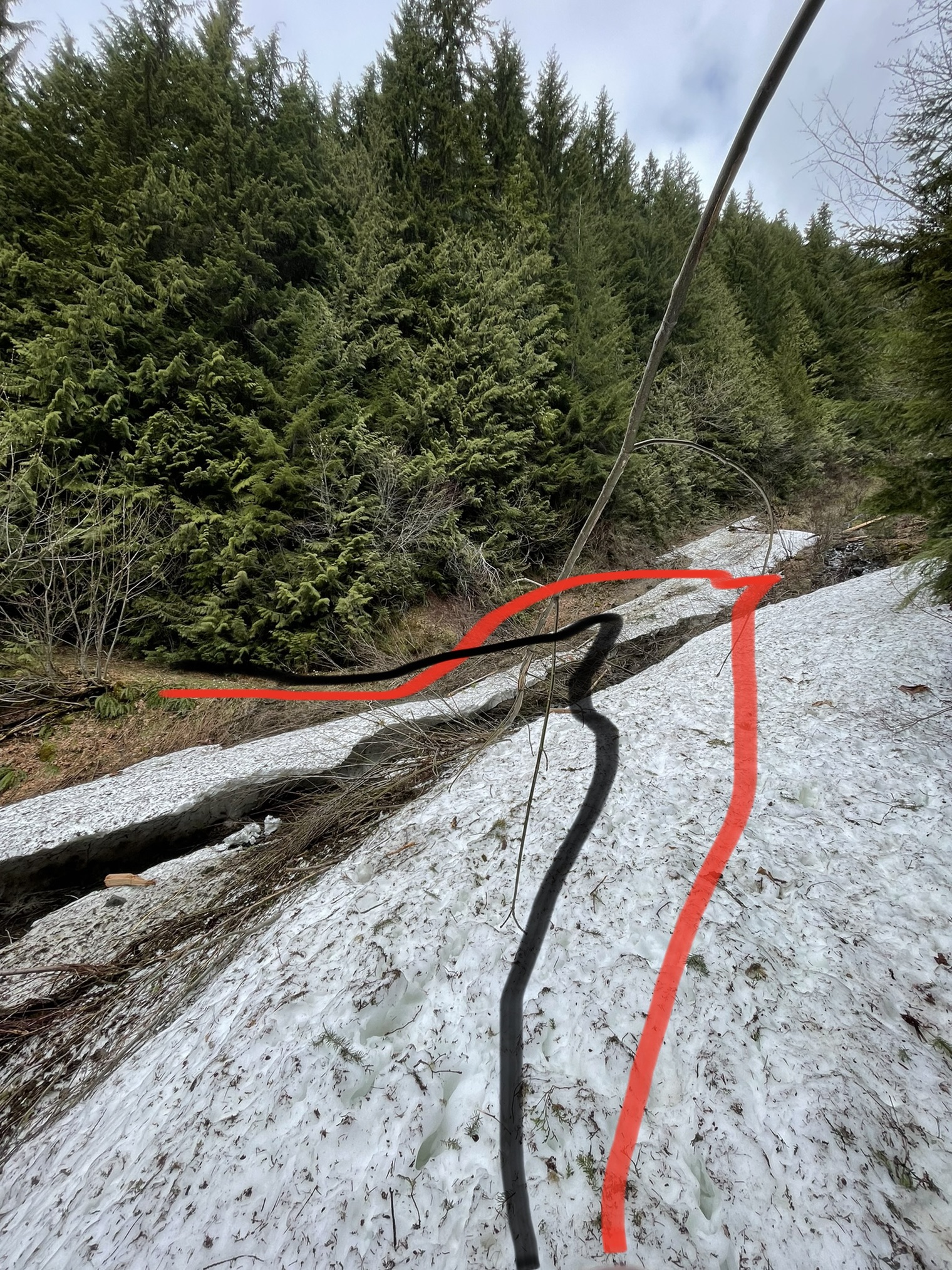 Welcome Pass — Washington Trails Association