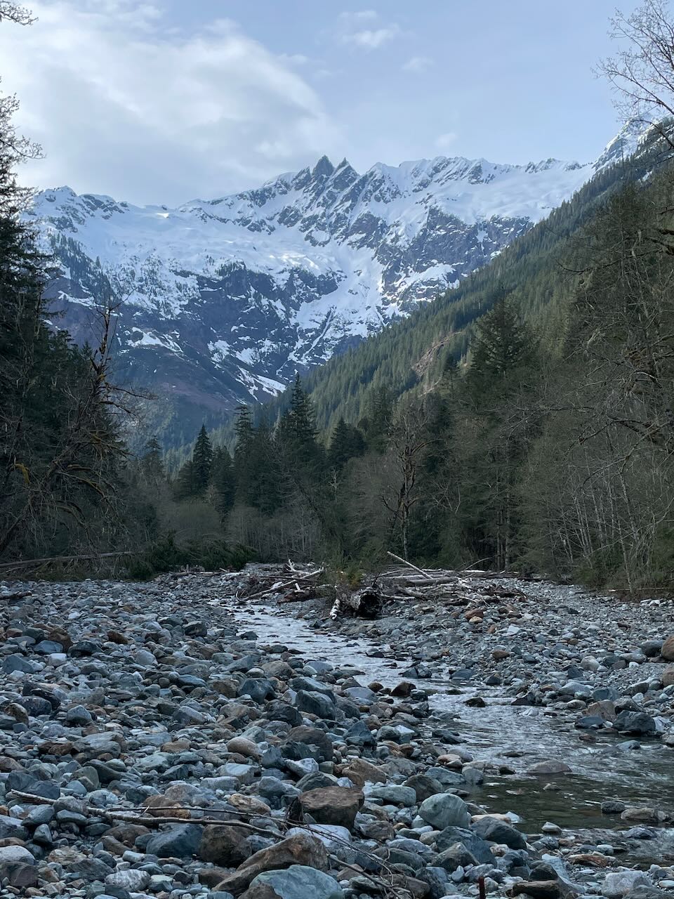 East Bank Baker Lake, Baker River, Baker Lake — Washington Trails ...