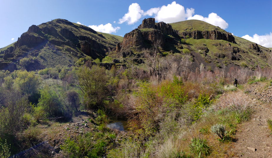 Umtanum Creek Canyon — Washington Trails Association