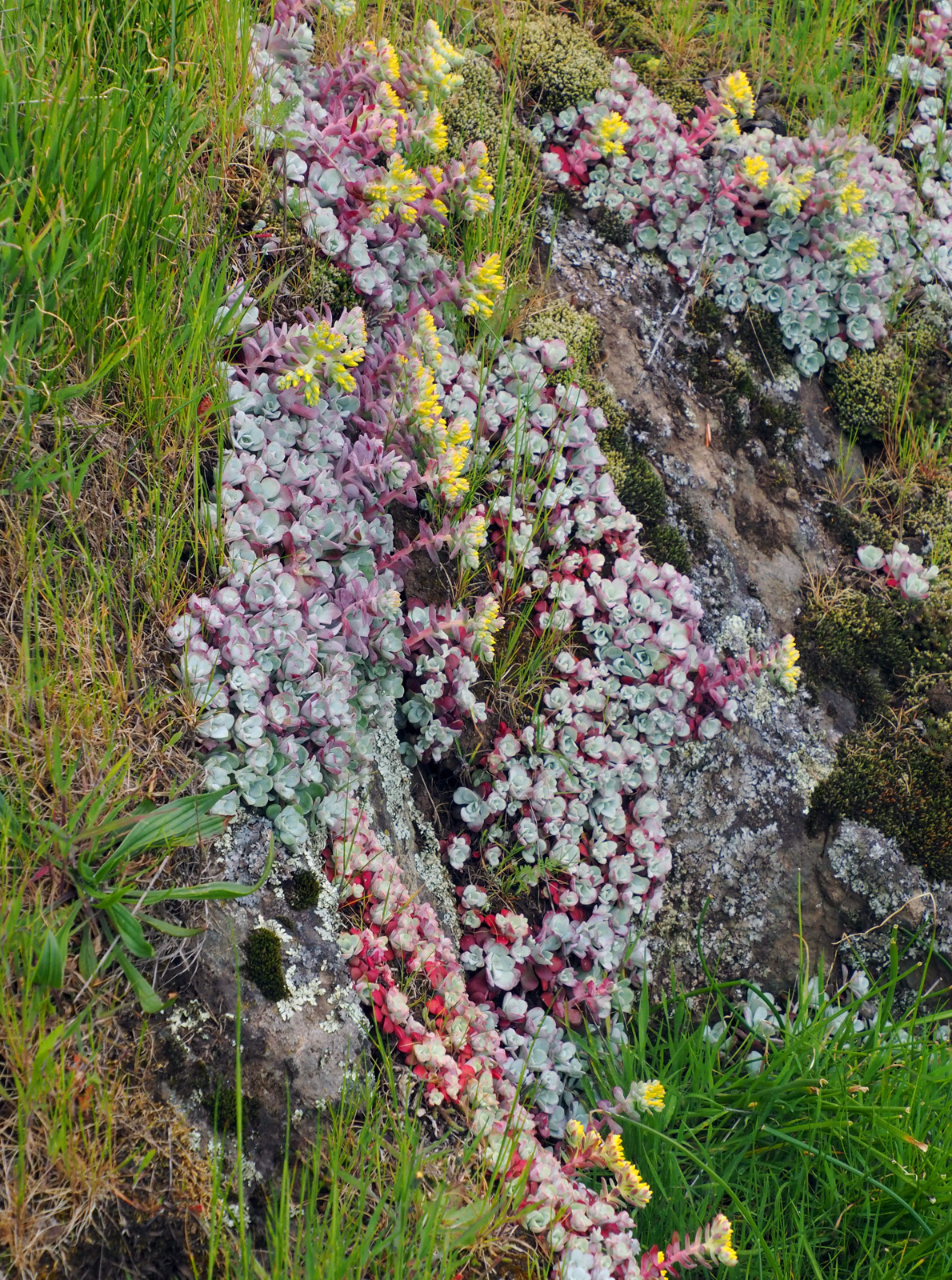Deception Pass State Park - Headlands / Rosario Head / Lighthouse Point ...