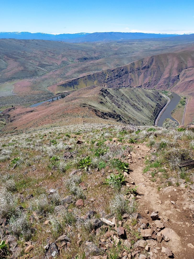 Baldy Mountain — Washington Trails Association