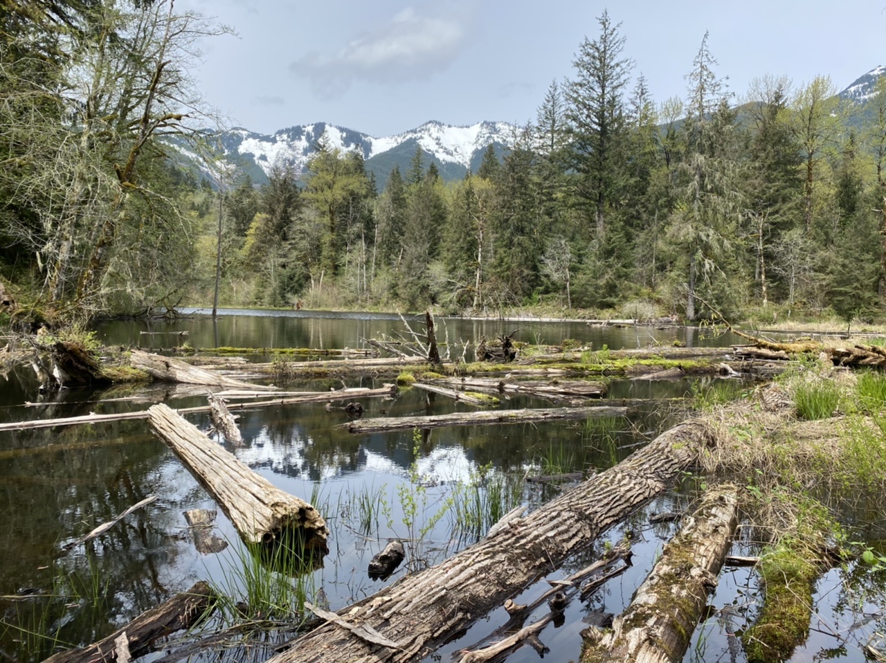 Garfield Ledges, Oxbow Loop Trail — Washington Trails Association
