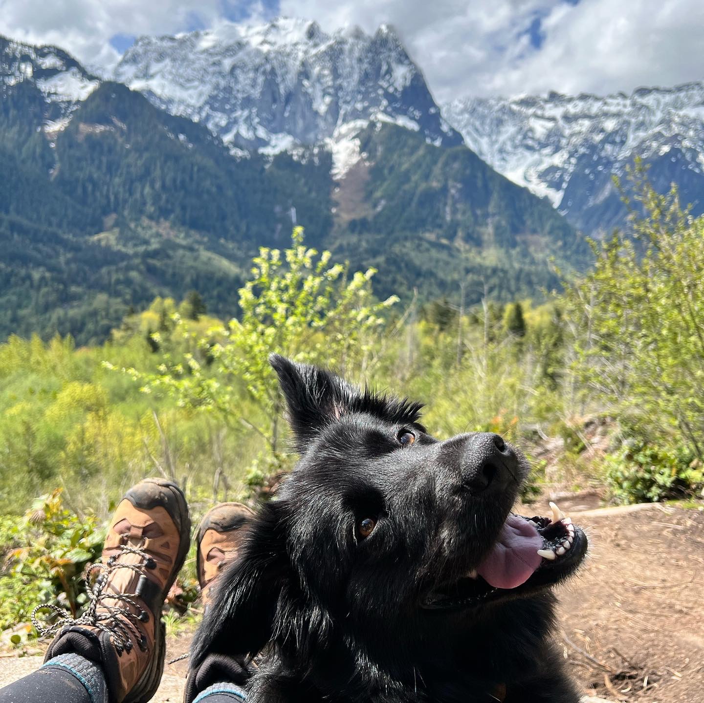 Heybrook Ridge — Washington Trails Association