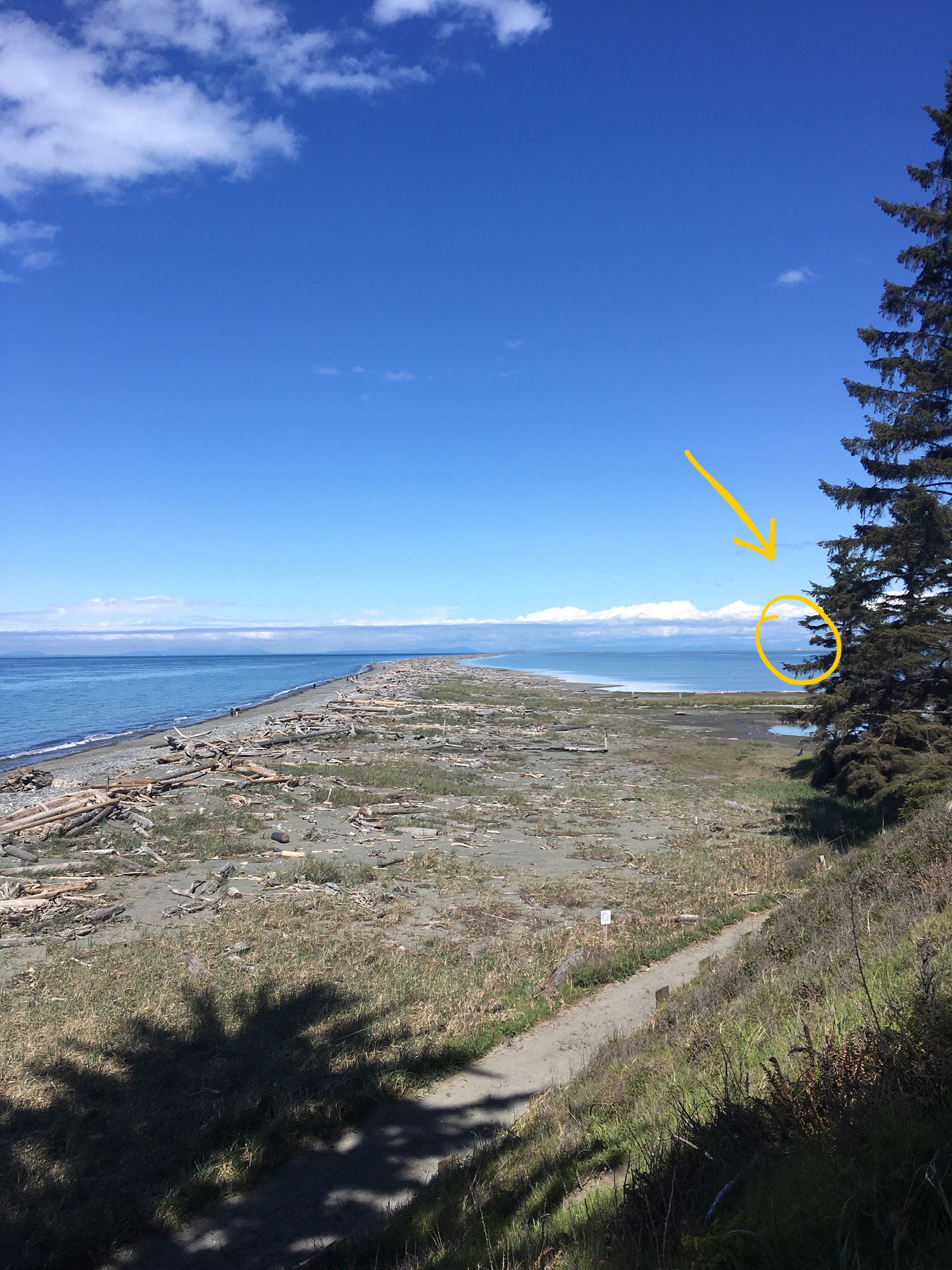 Dungeness National Wildlife Refuge - Dungeness Spit — Washington Trails ...