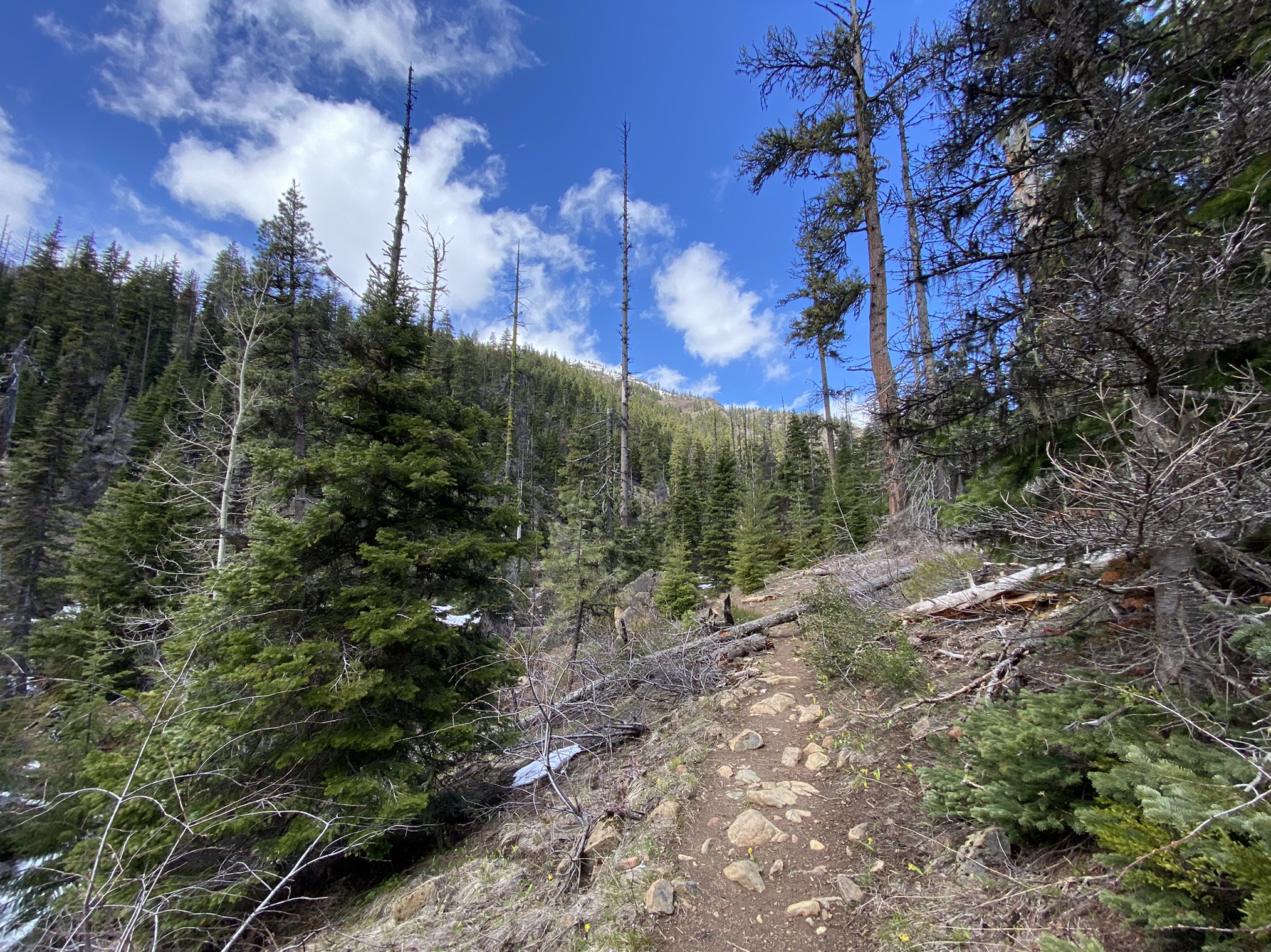 Navaho Pass — Washington Trails Association