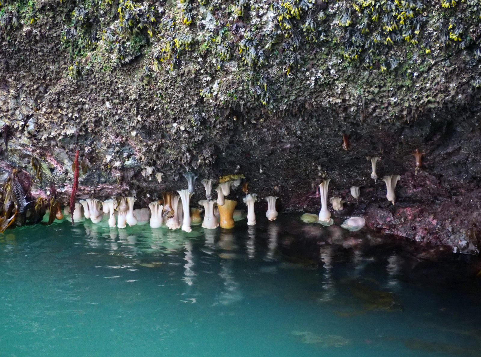 Deception Pass State Park - Headlands / Rosario Head / Lighthouse Point ...