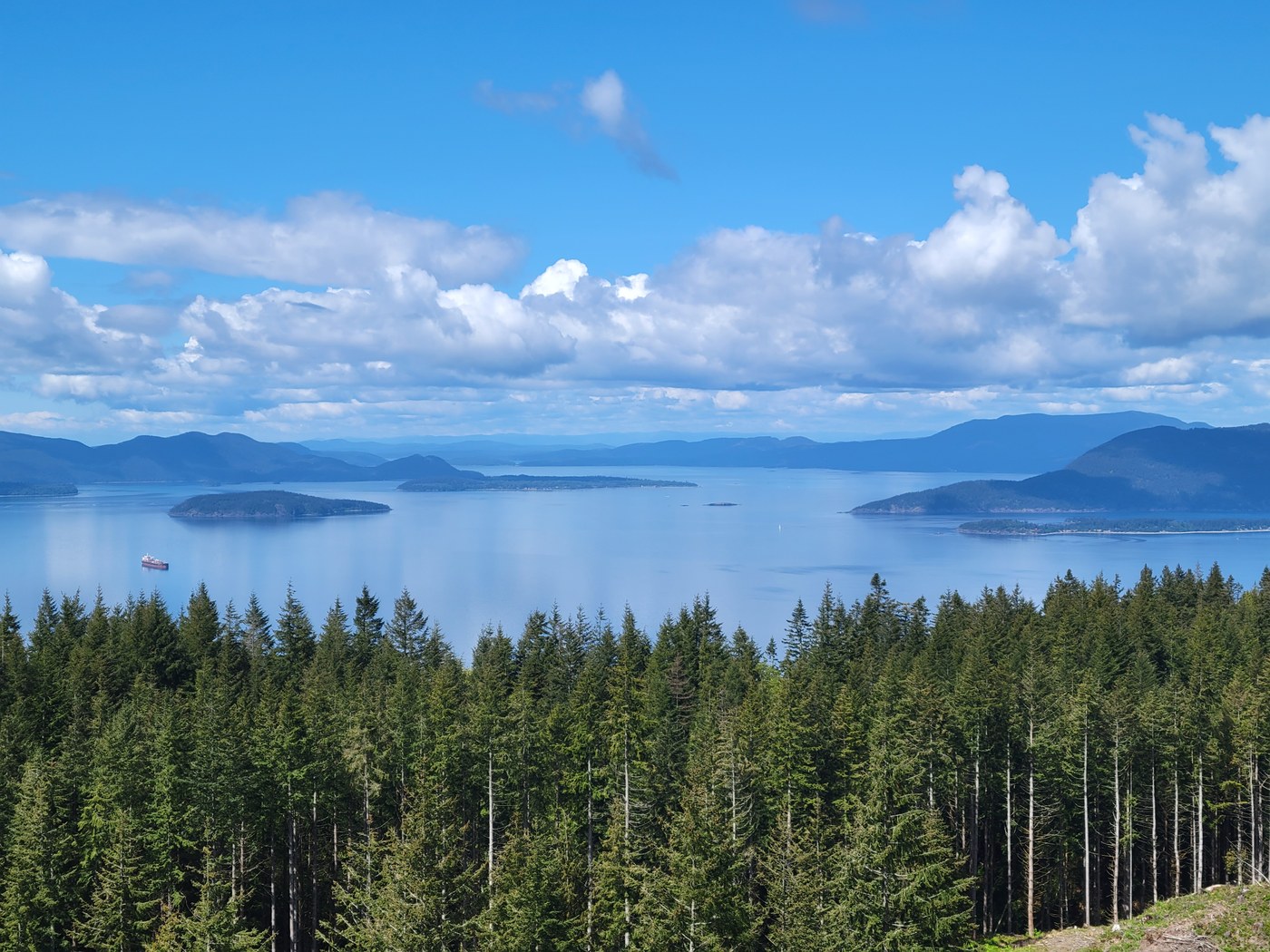 Burnout Trail, Larrabee State Park - Chuckanut Ridge Trail, Larrabee ...
