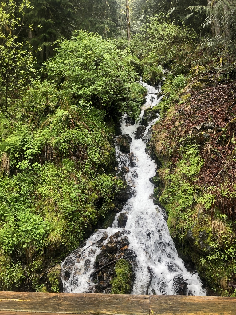 Mount Teneriffe — Washington Trails Association