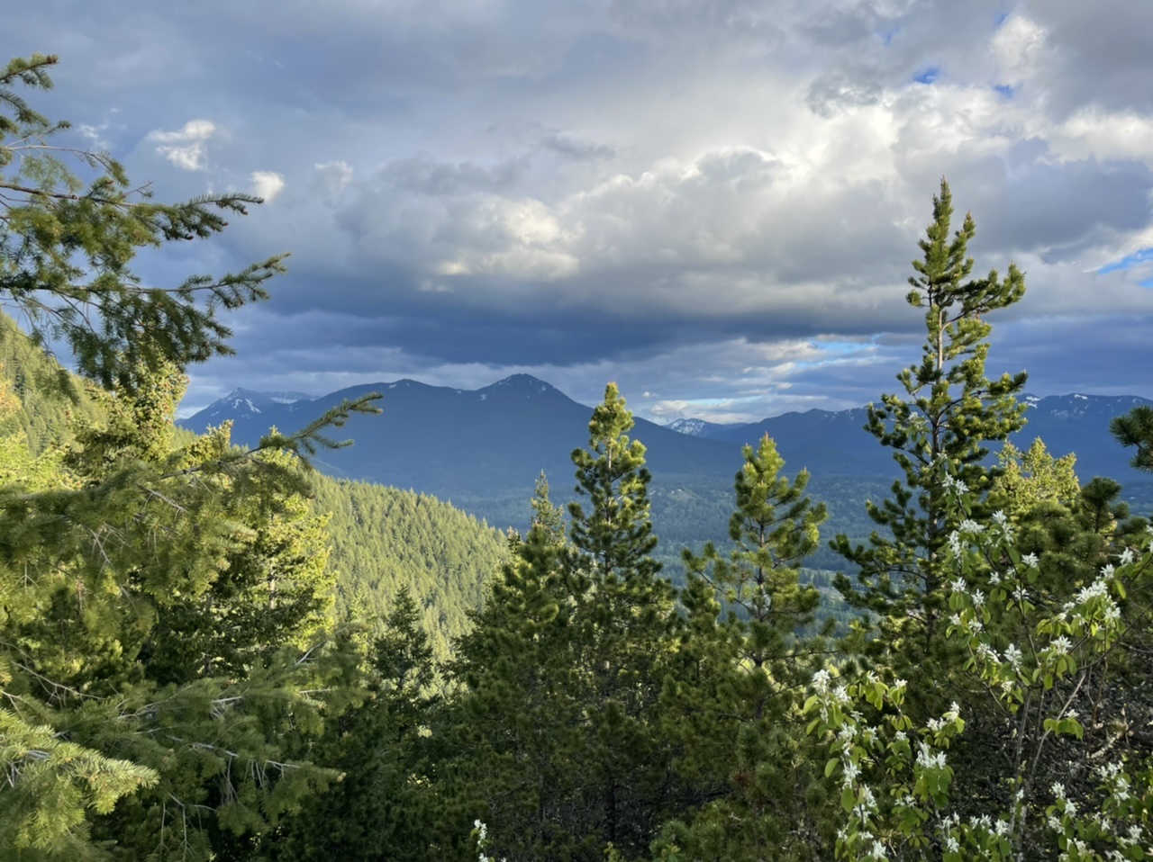 Little Si, Boulder Garden Loop — Washington Trails Association