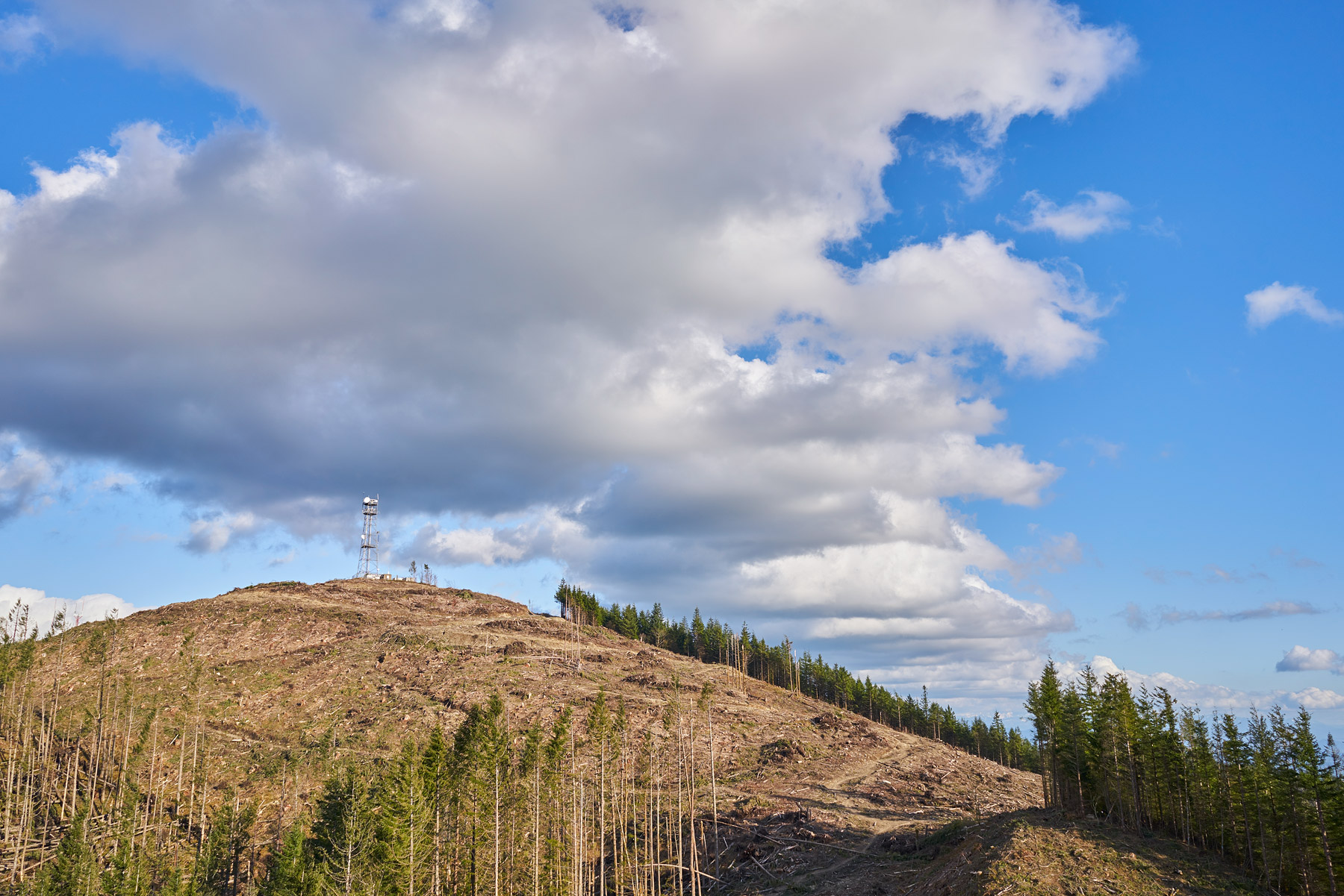 Cable Line Trail, West Tiger 3 — Washington Trails Association