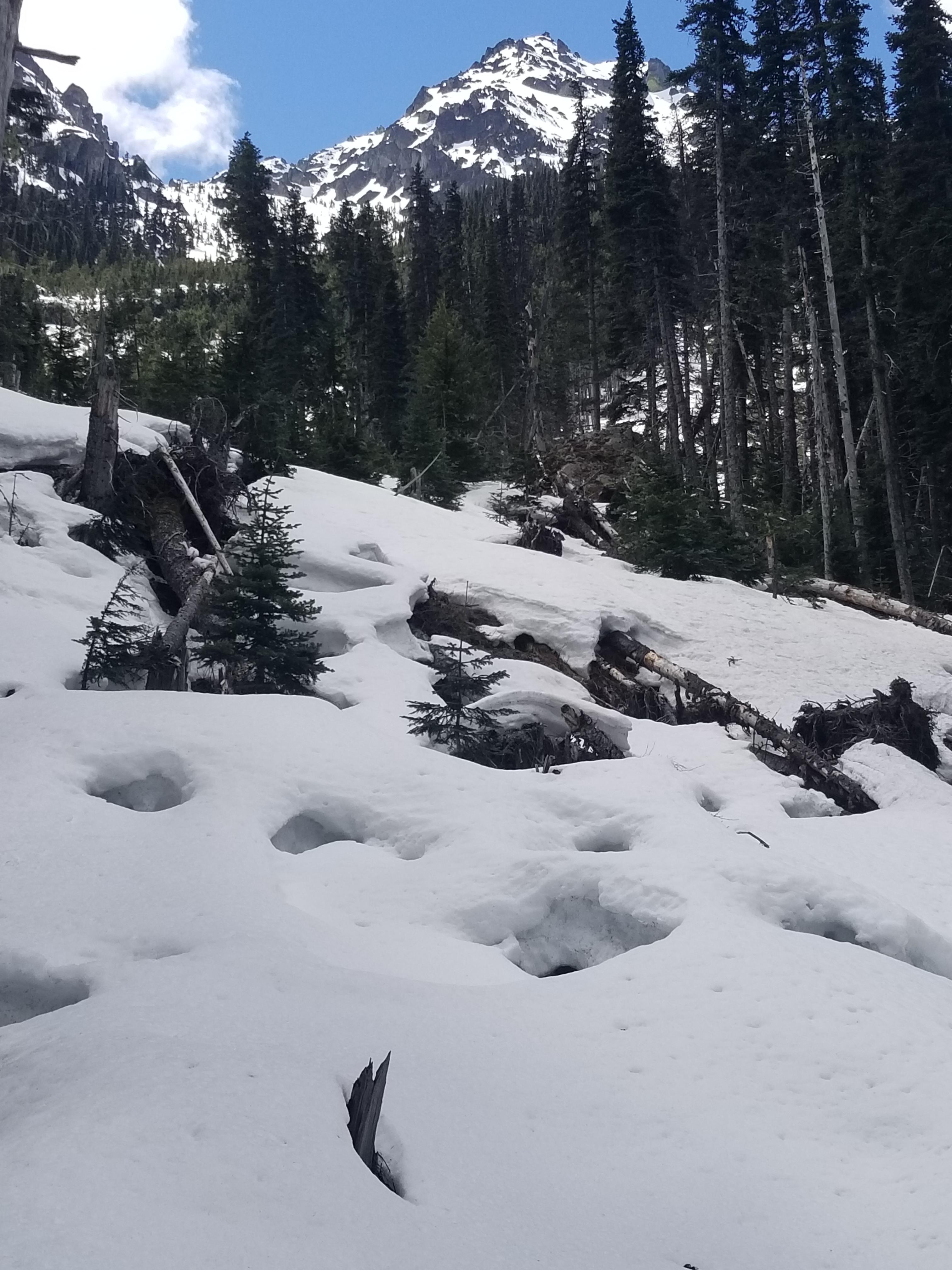 Royal Basin - Royal Lake — Washington Trails Association