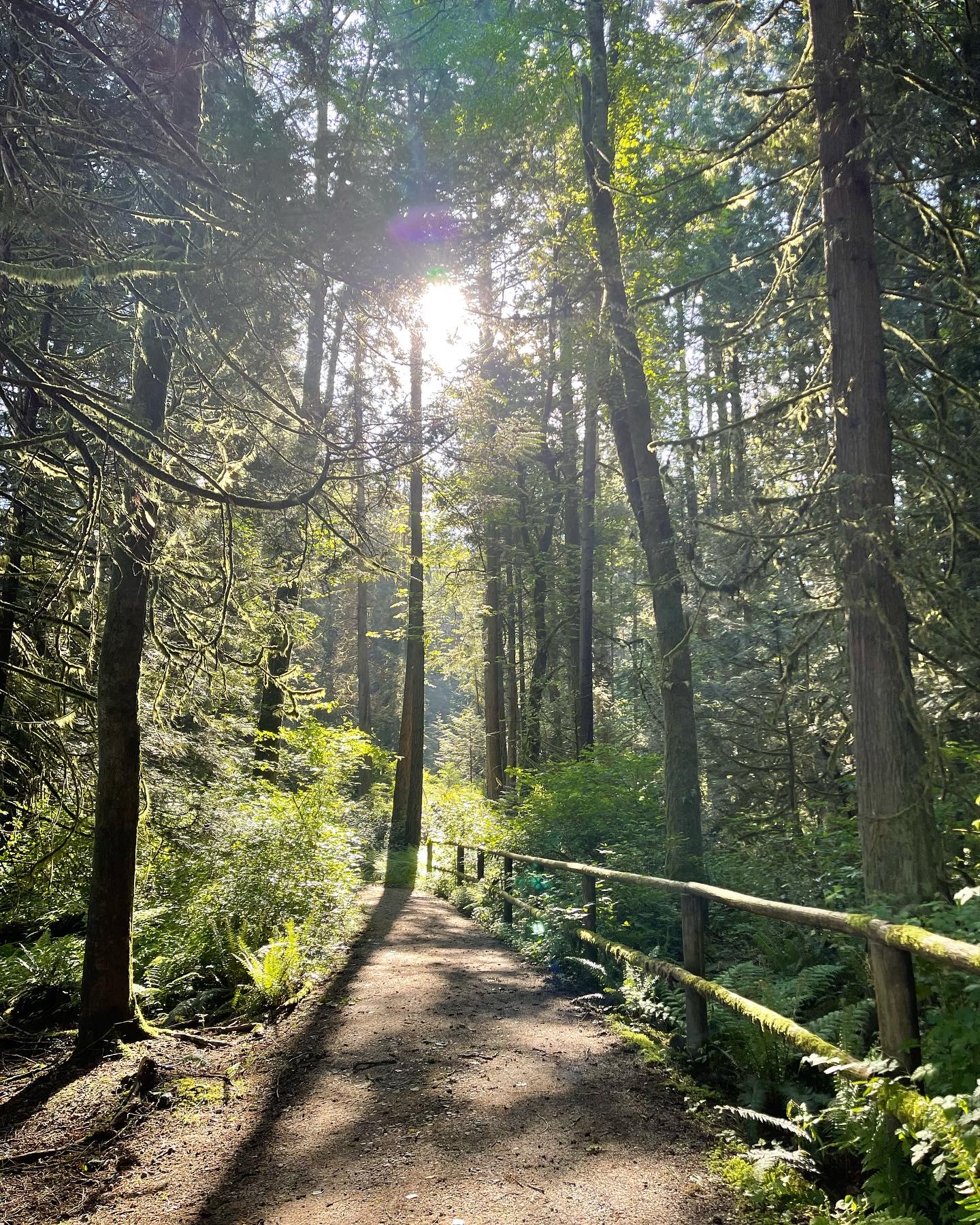 Bridle Trails State Park — Washington Trails Association