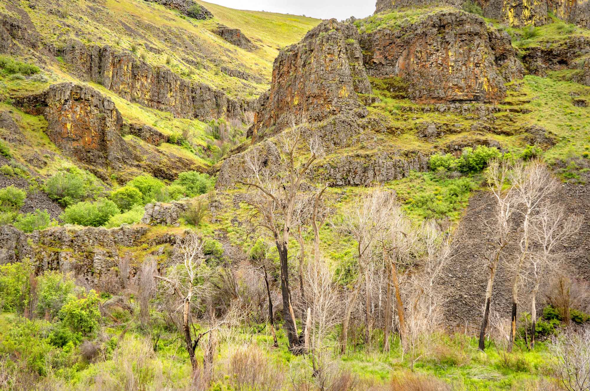Umtanum Creek Canyon — Washington Trails Association