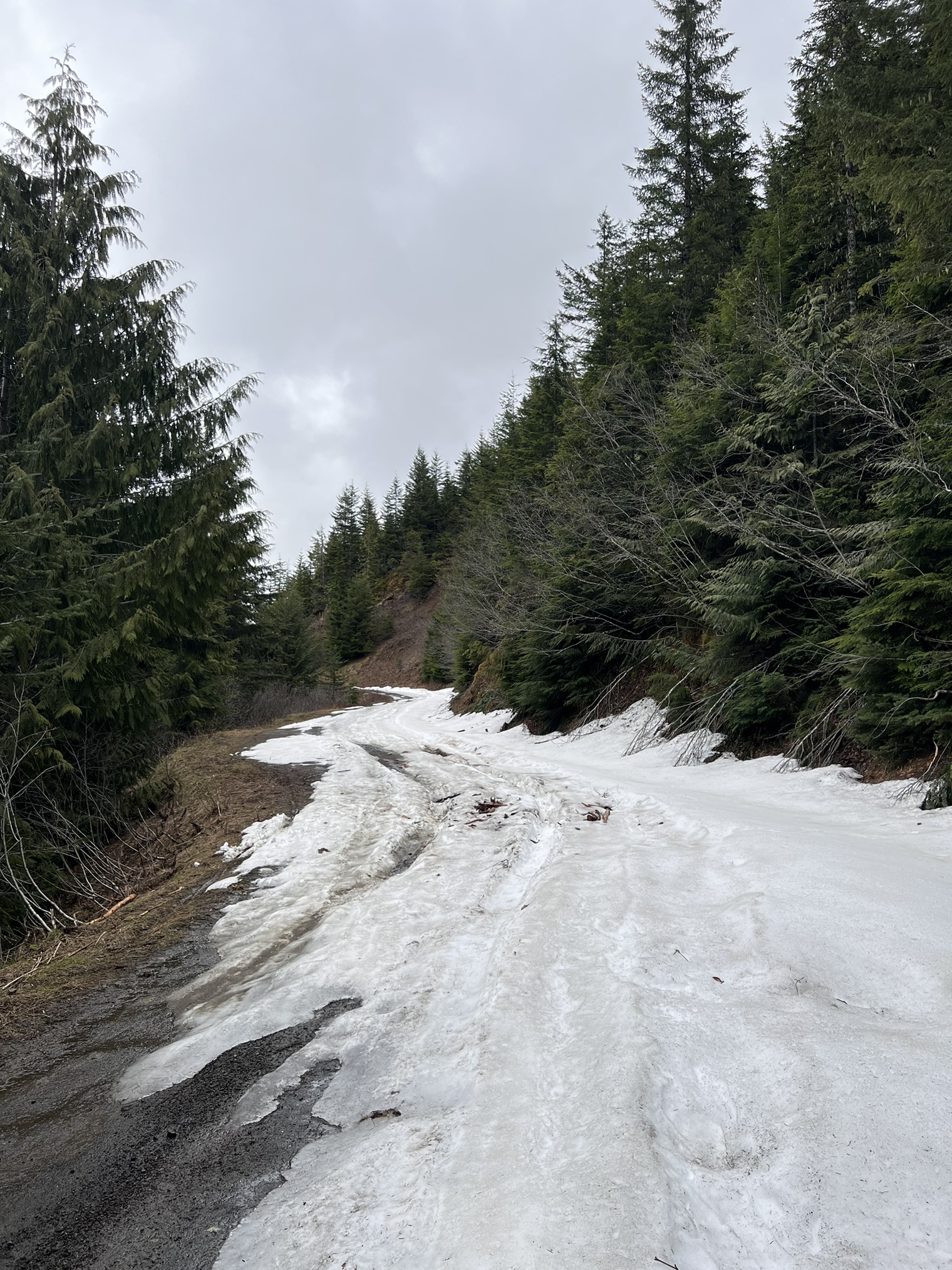 Mount Townsend — Washington Trails Association