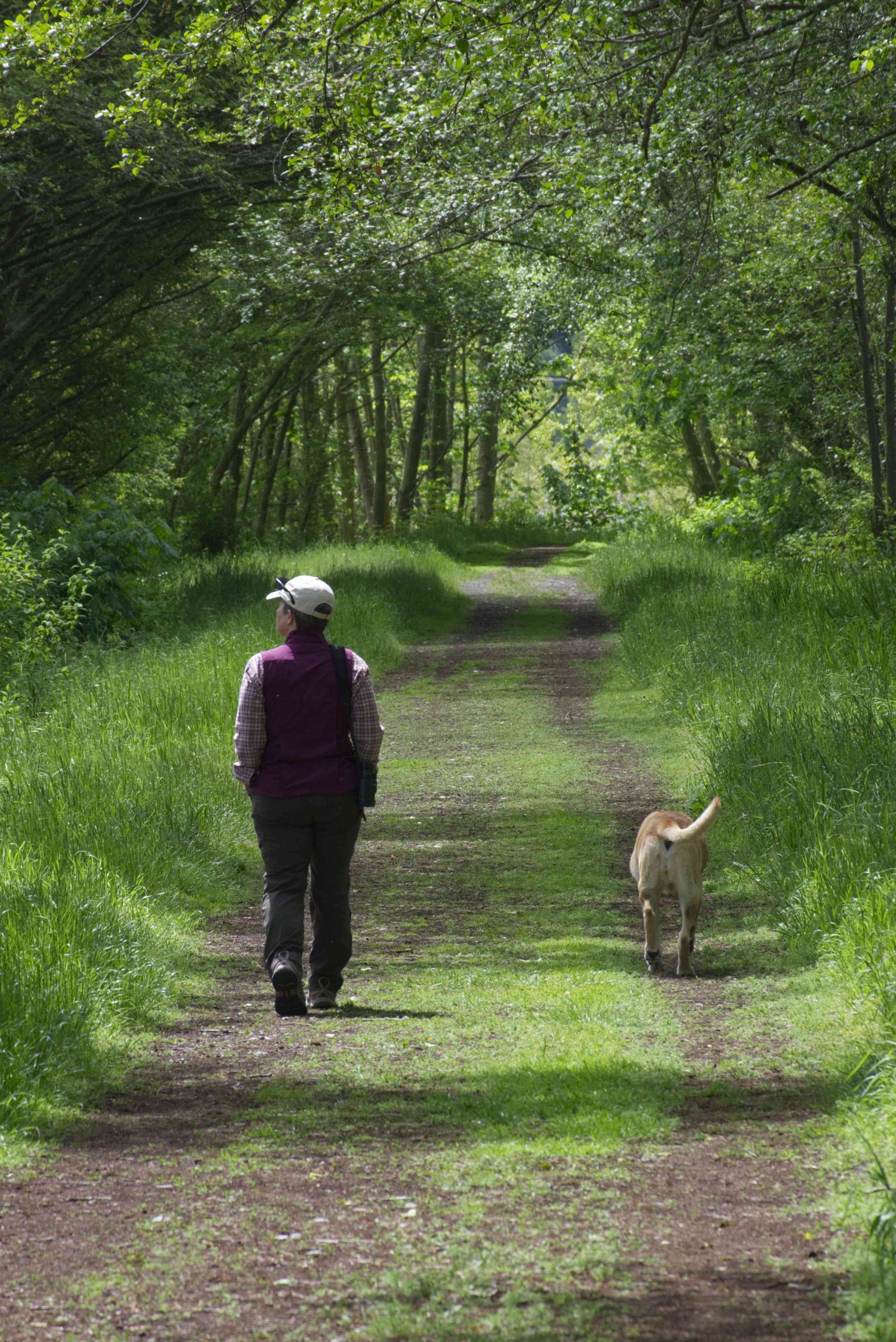 Dungeness River Dike Trail — Washington Trails Association