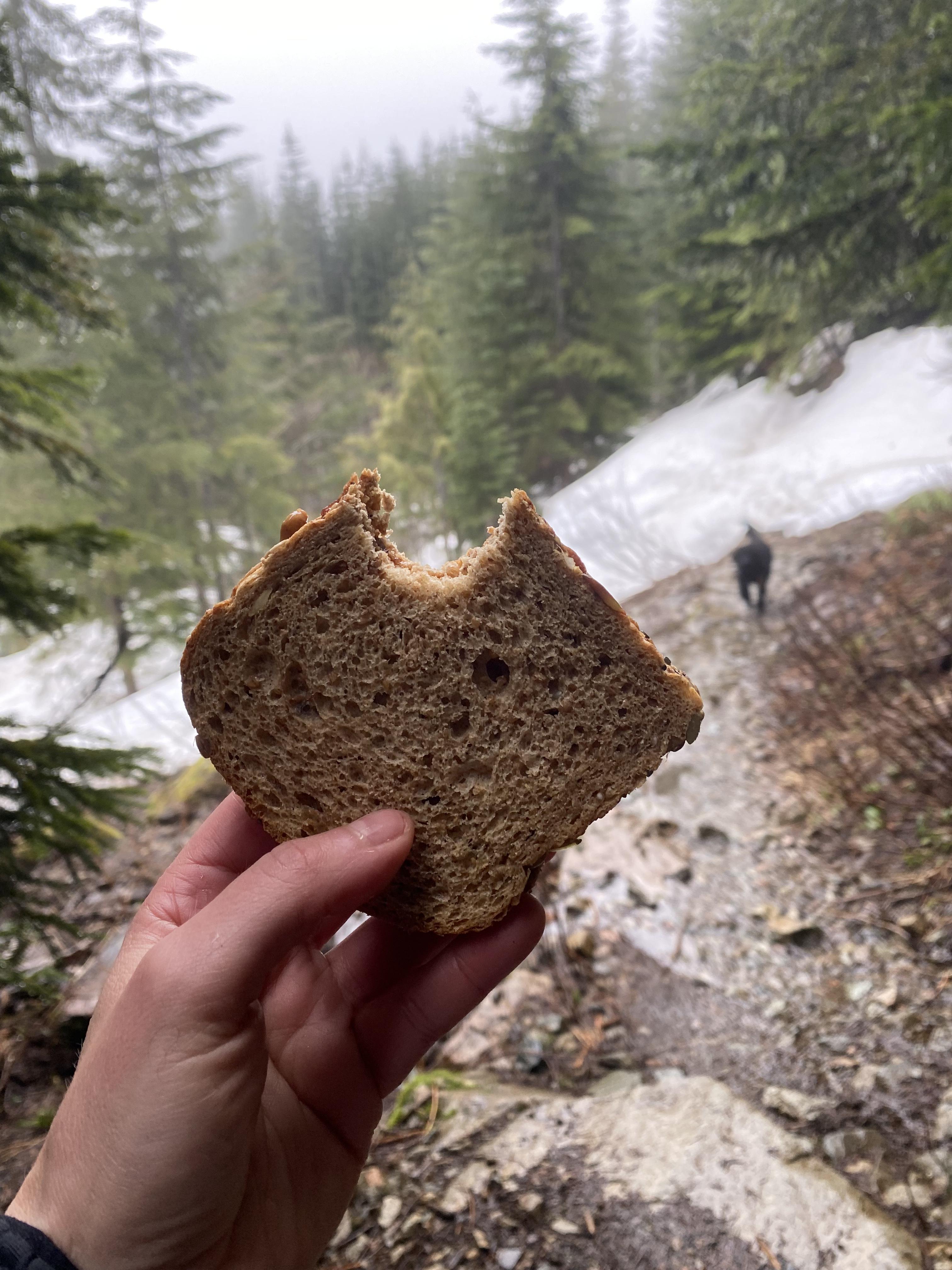 Mount Washington — Washington Trails Association