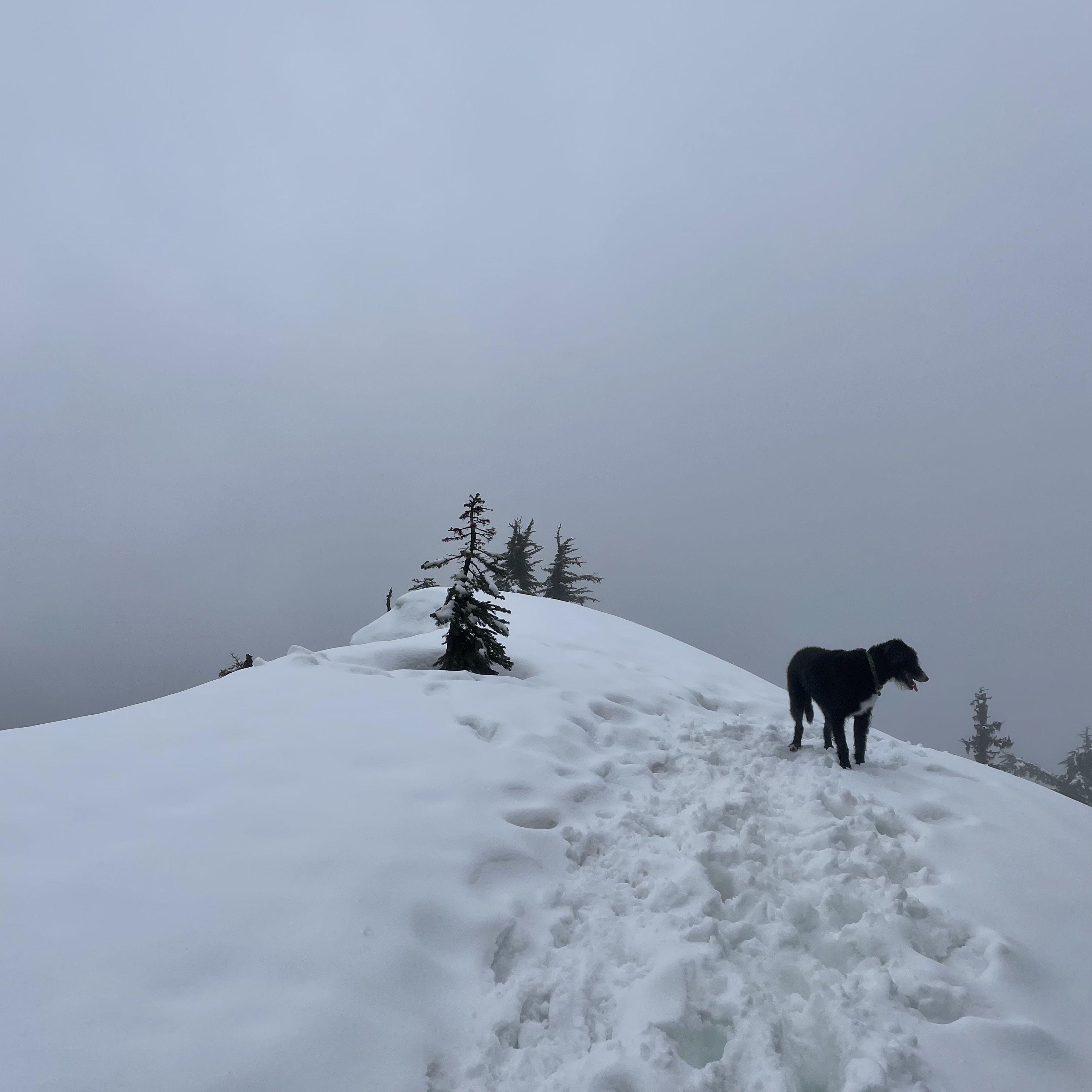 Beckler Peak — Washington Trails Association