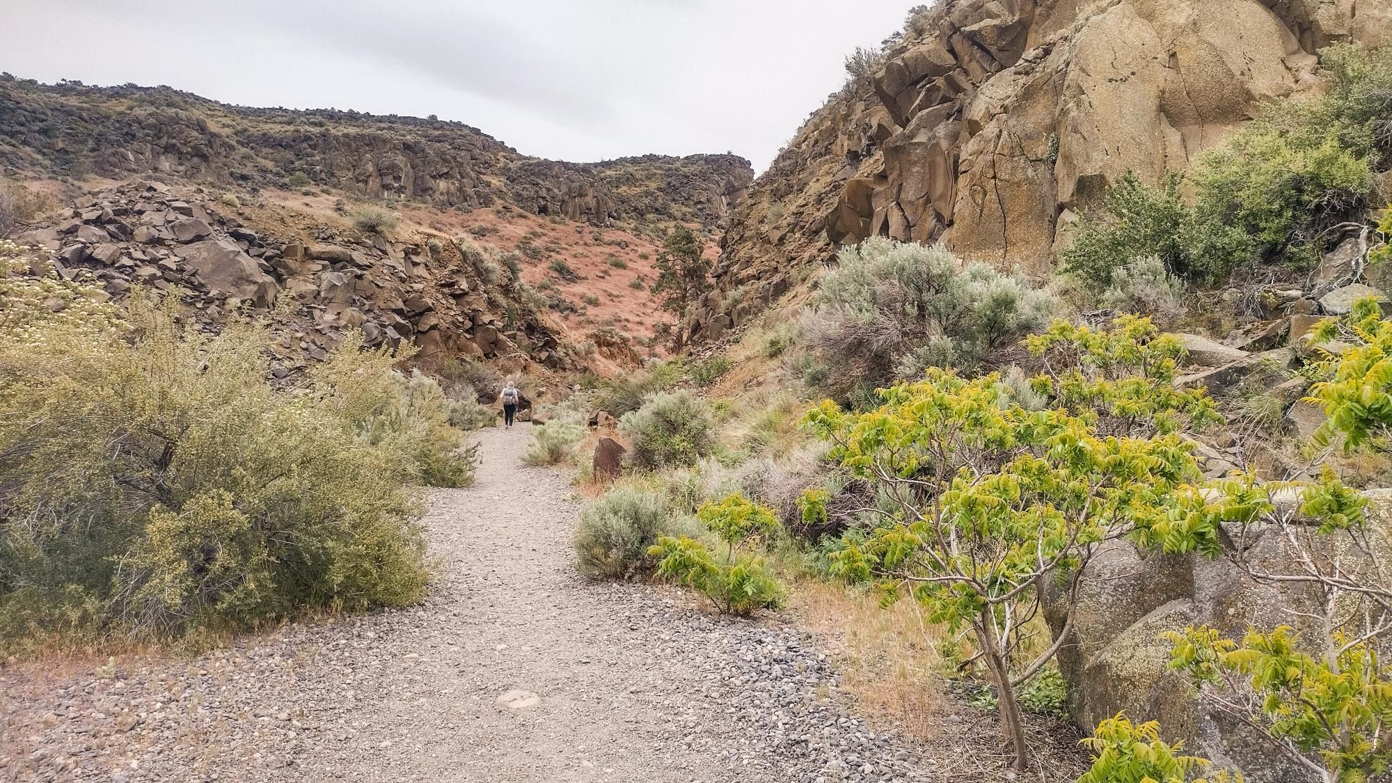 Cowiche Canyon Preserve — Washington Trails Association