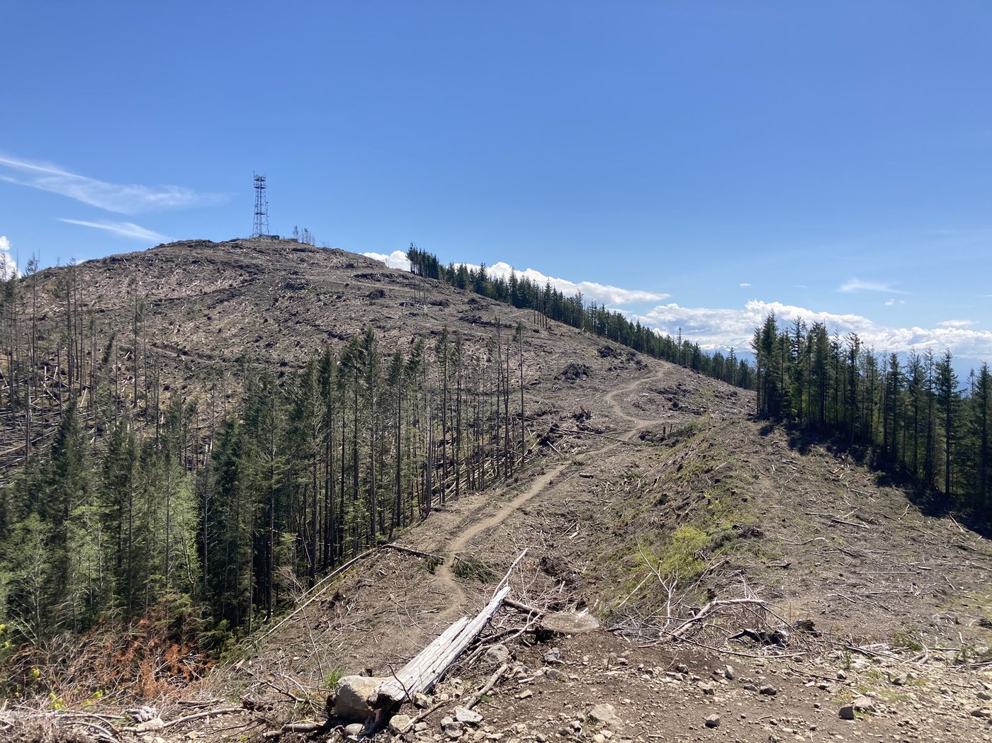Cable Line Trail — Washington Trails Association