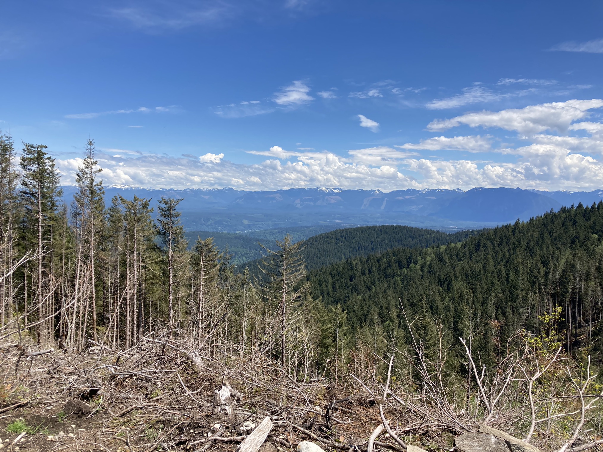 Cable Line Trail — Washington Trails Association
