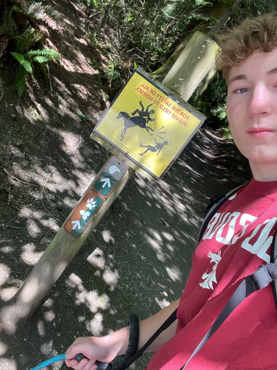 Bridle Trails State Park — Washington Trails Association