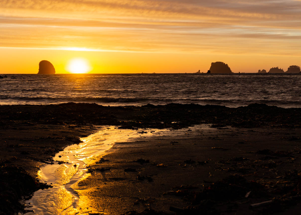 Sand Point — Washington Trails Association