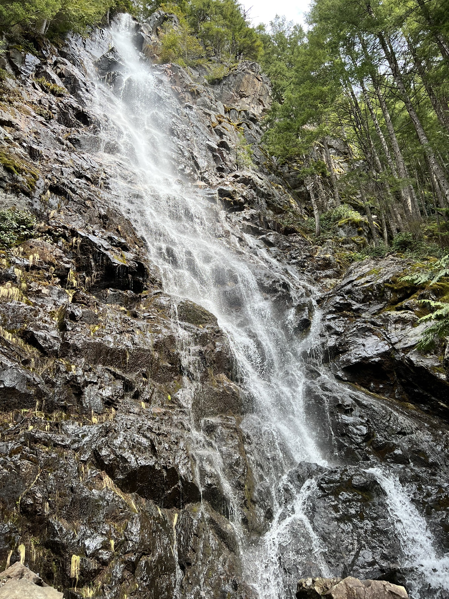Teneriffe Falls — Washington Trails Association