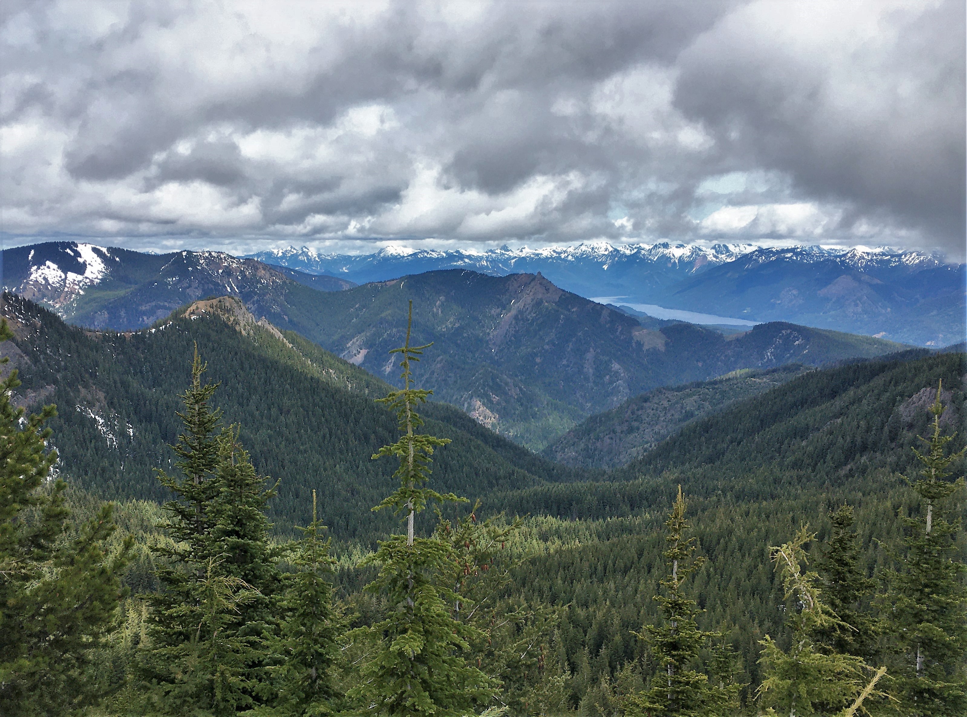 North Ridge — Washington Trails Association