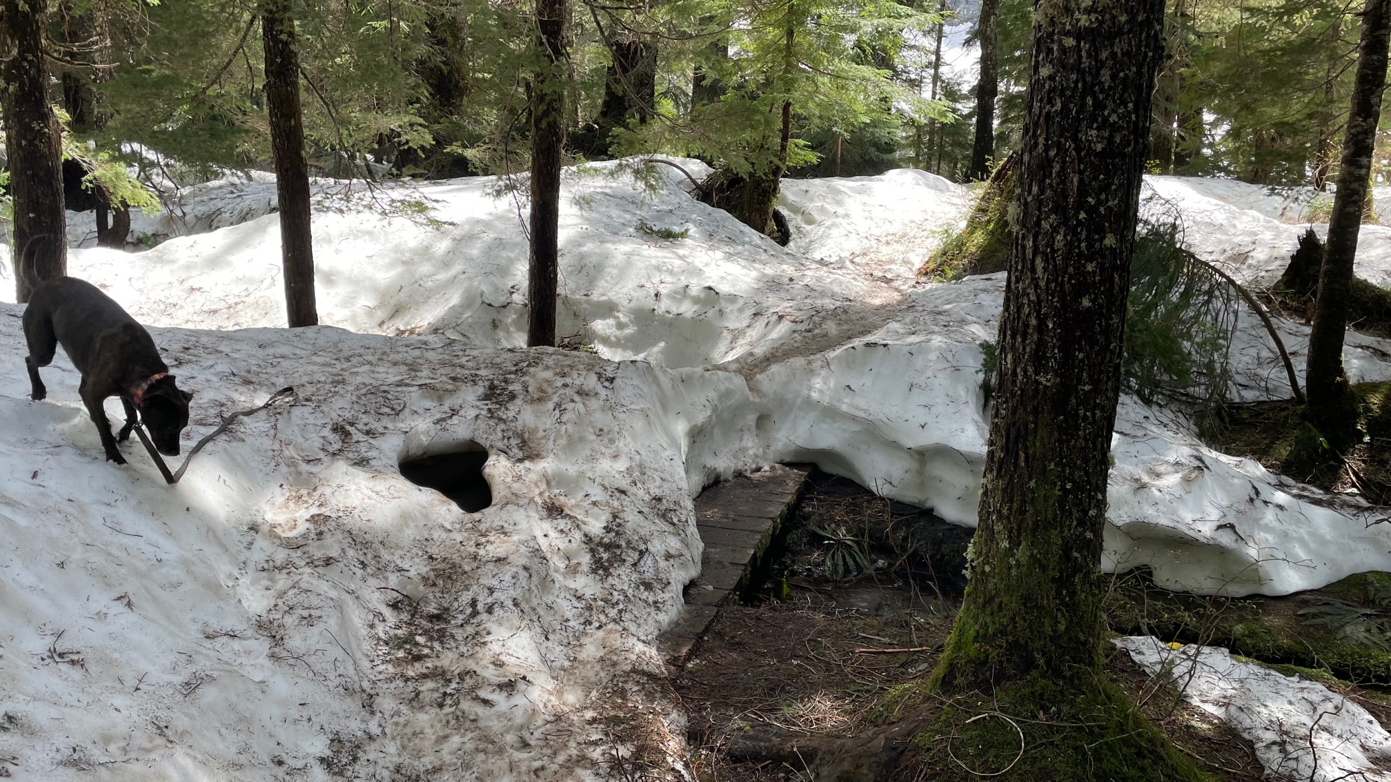Heather Lake — Washington Trails Association