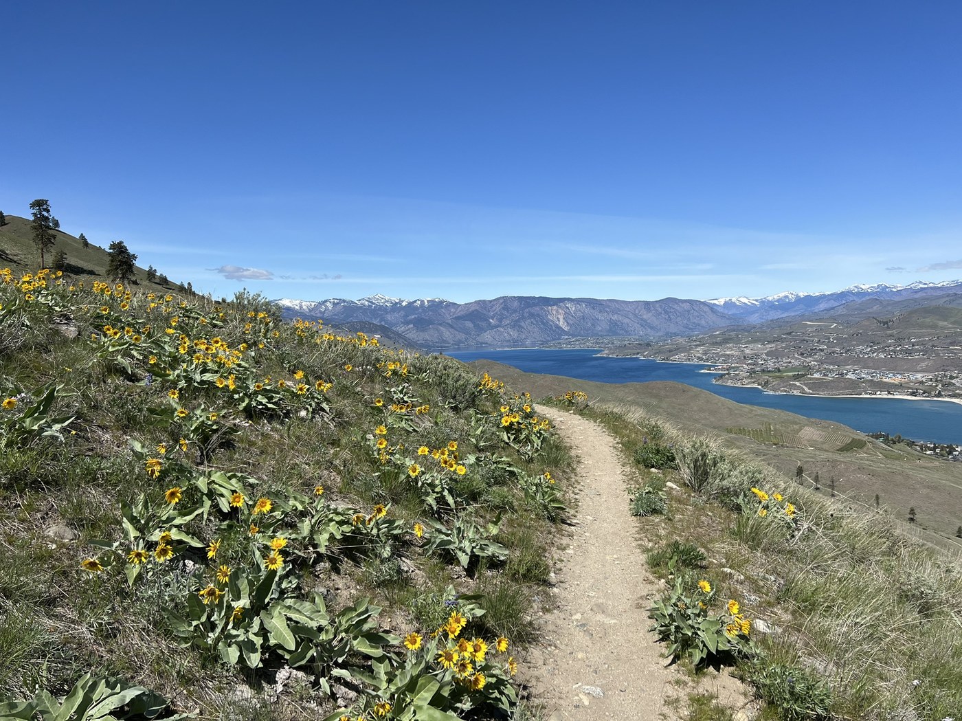 Chelan Butte — Washington Trails Association