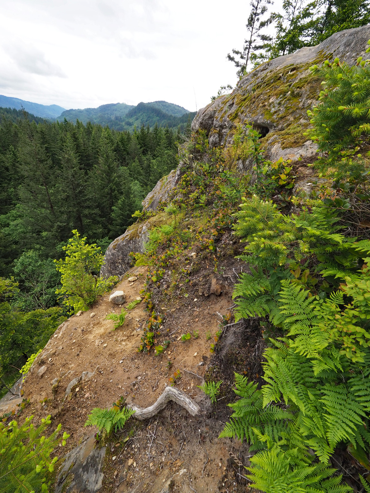 Raptor Ridge Trail, Hemlock Trail, Larrabee State Park - North Lost ...