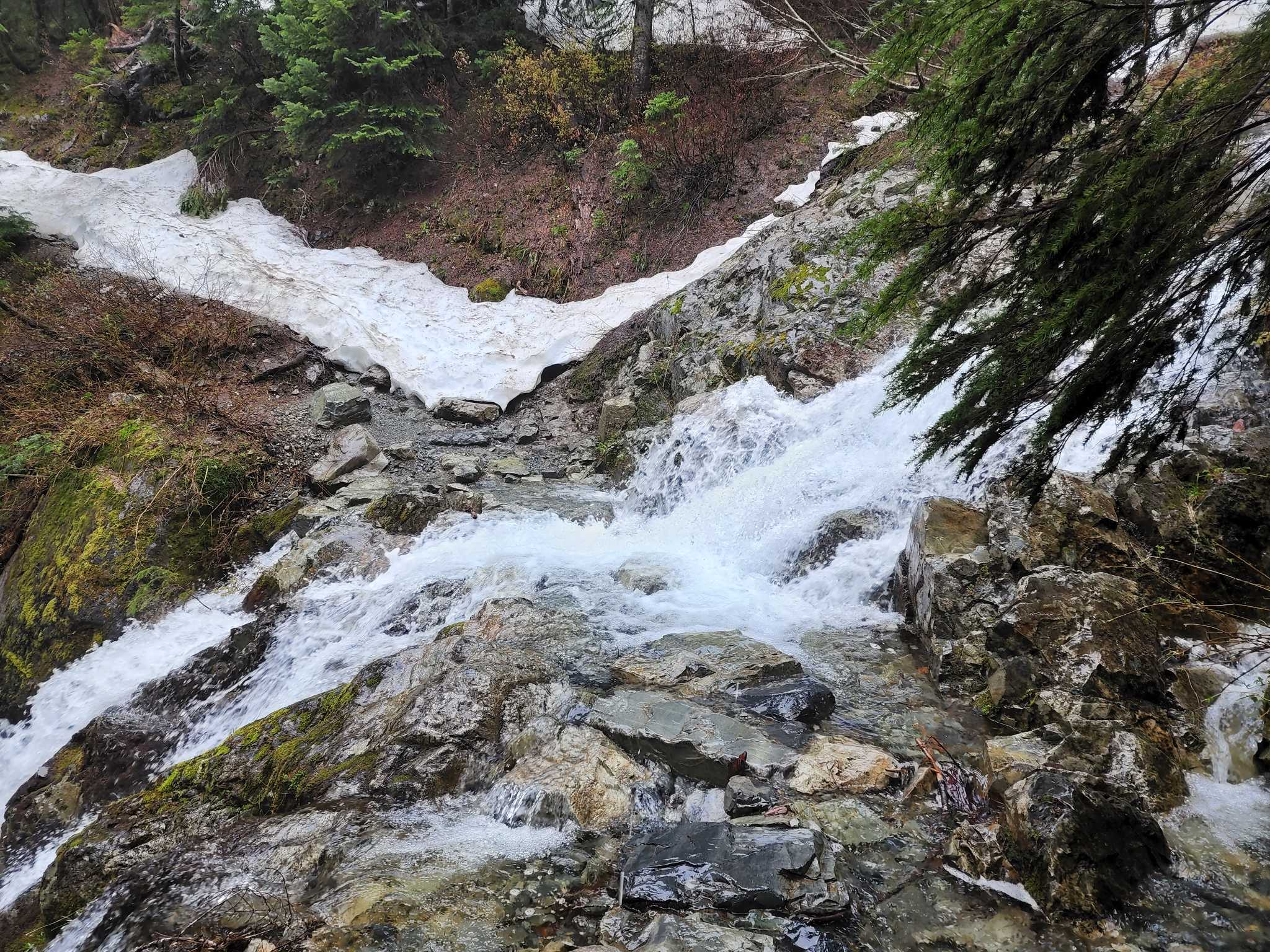 Snow Lake — Washington Trails Association
