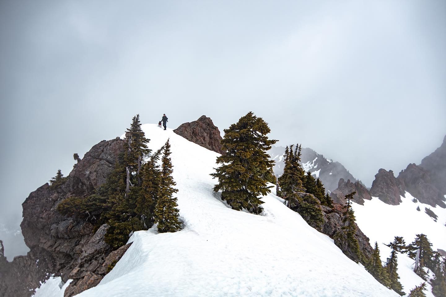 Mount Ellinor — Washington Trails Association