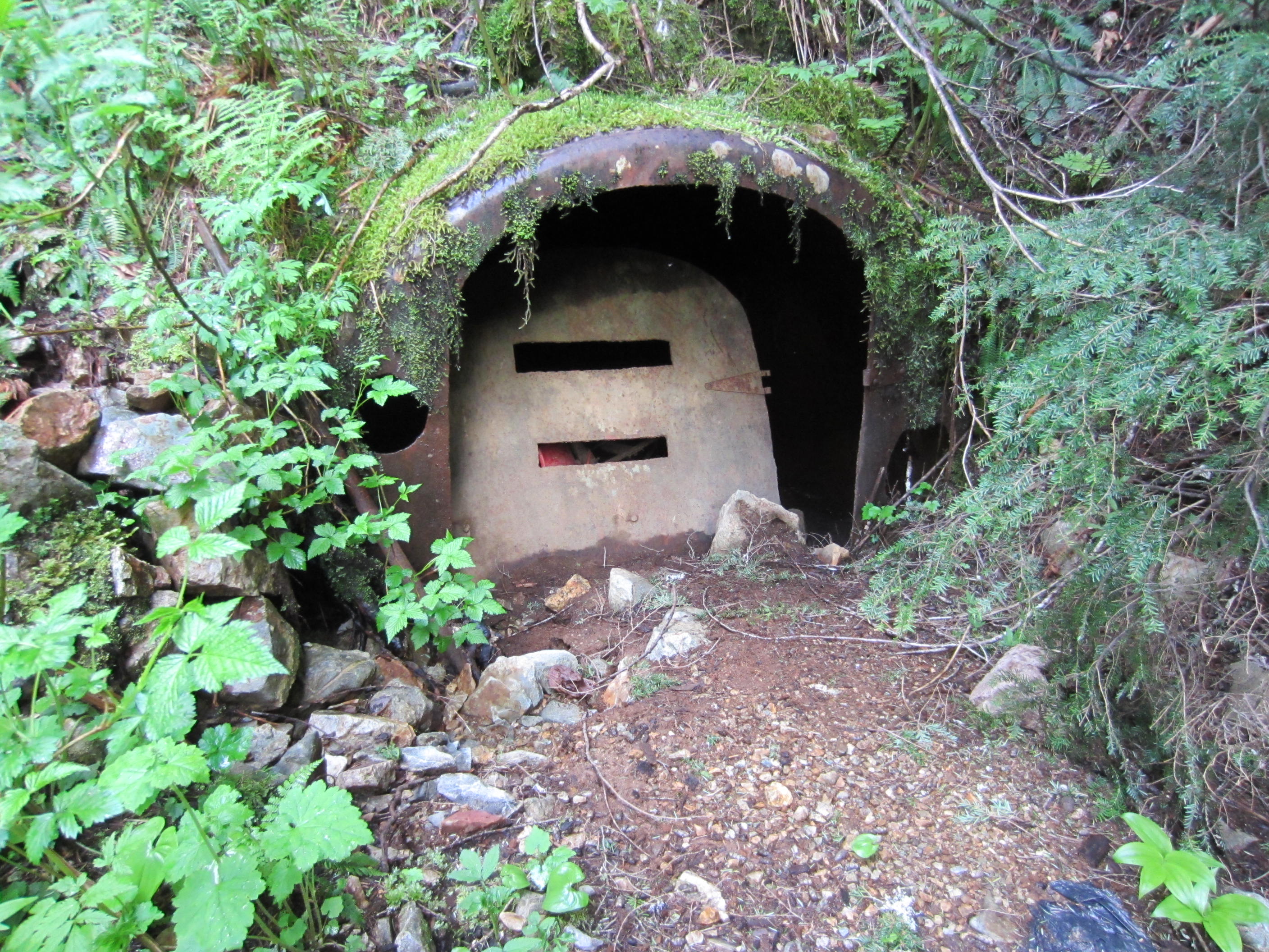 Monte Cristo Ghost Town, 76 Creek, Boston American Mine — Washington ...