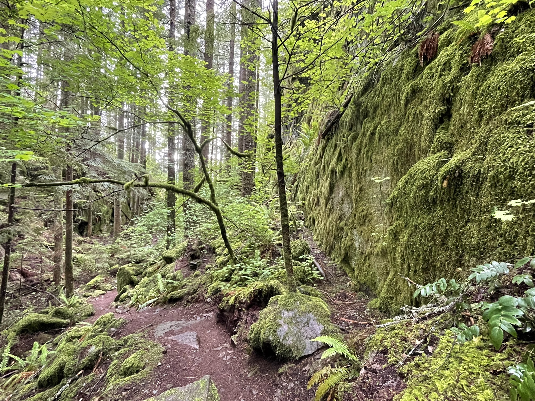 Boulder Garden Loop — Washington Trails Association