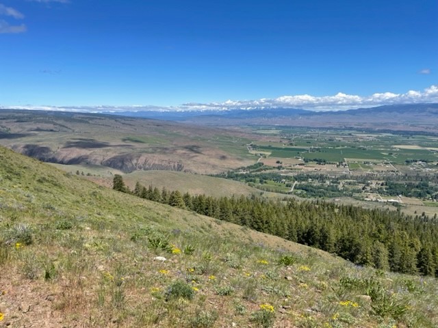 Manastash Ridge, Manastash Ridge - Westberg Trail — Washington Trails ...