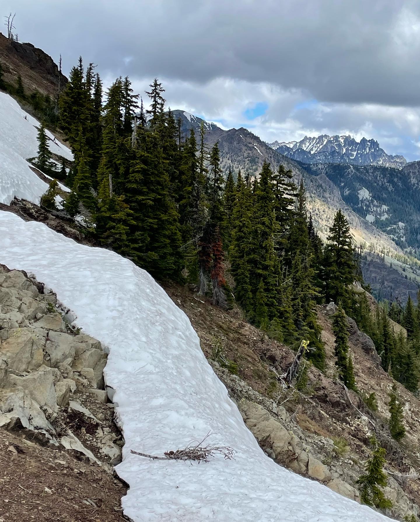 Iron Bear - Teanaway Ridge, Miller Peak — Washington Trails Association
