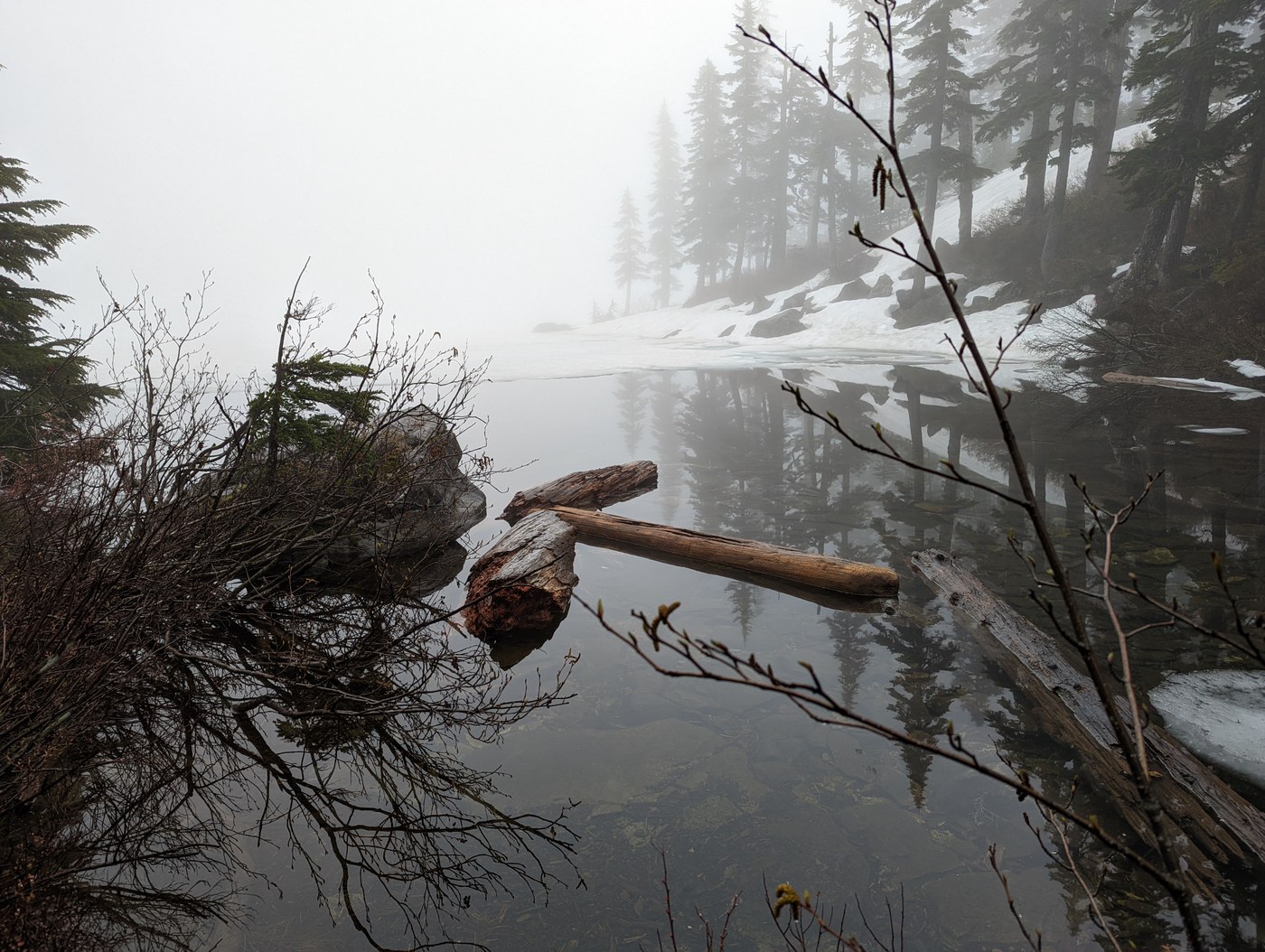 Ira Spring Trail - Mason Lake — Washington Trails Association