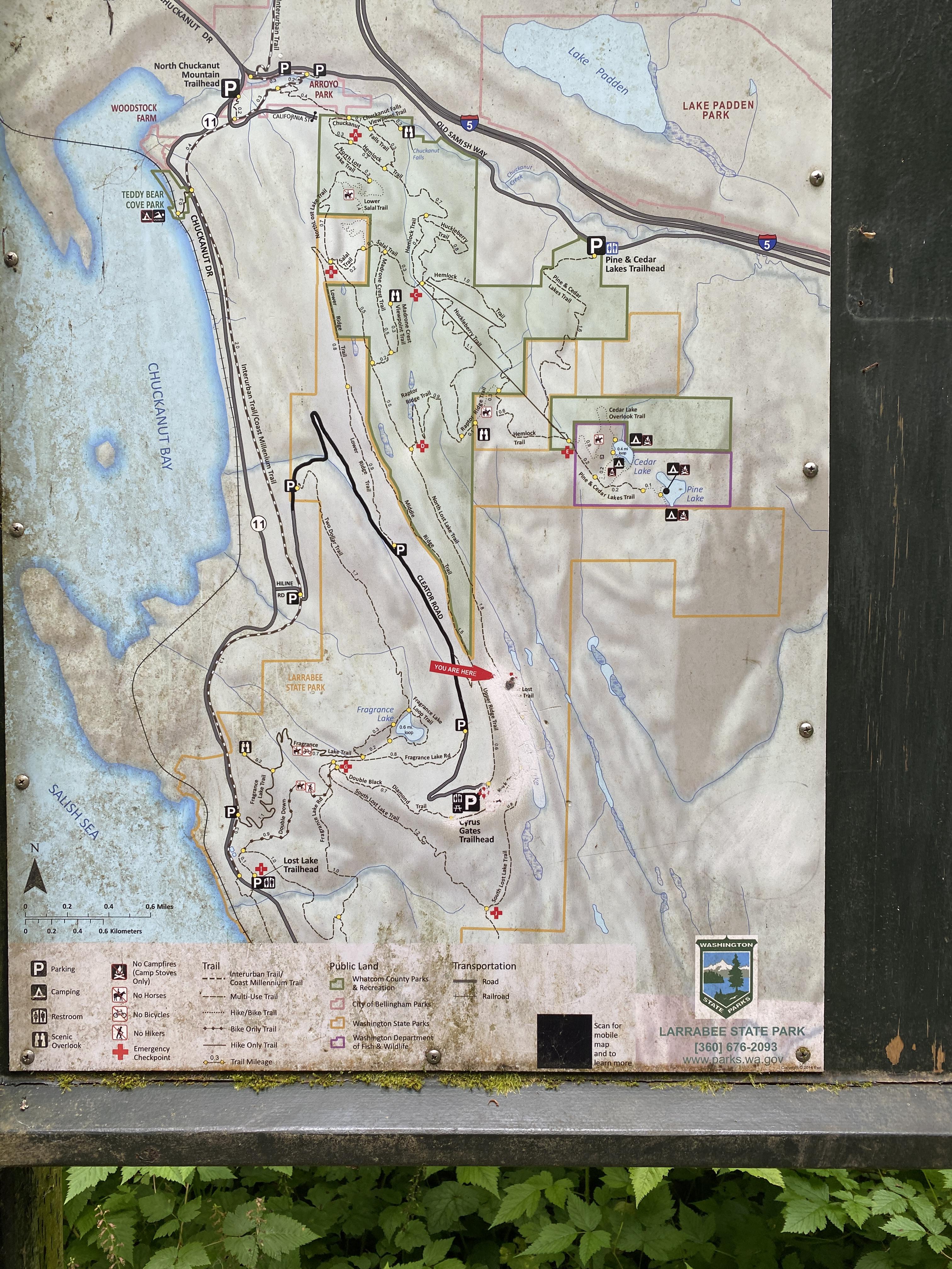 Larrabee State Park - Rock Trail — Washington Trails Association