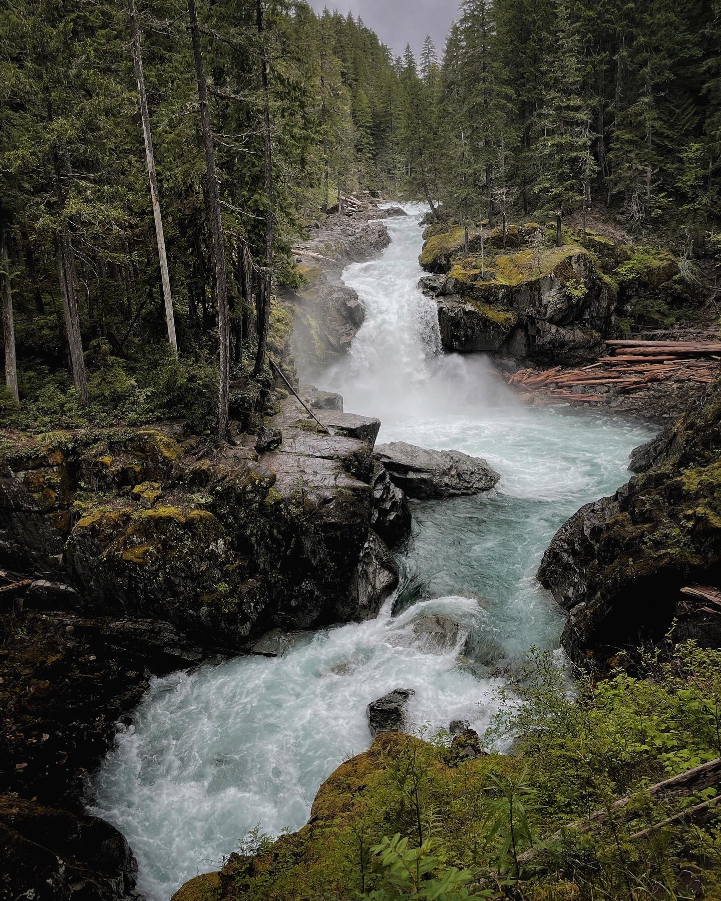 Silver Falls Loop — Washington Trails Association