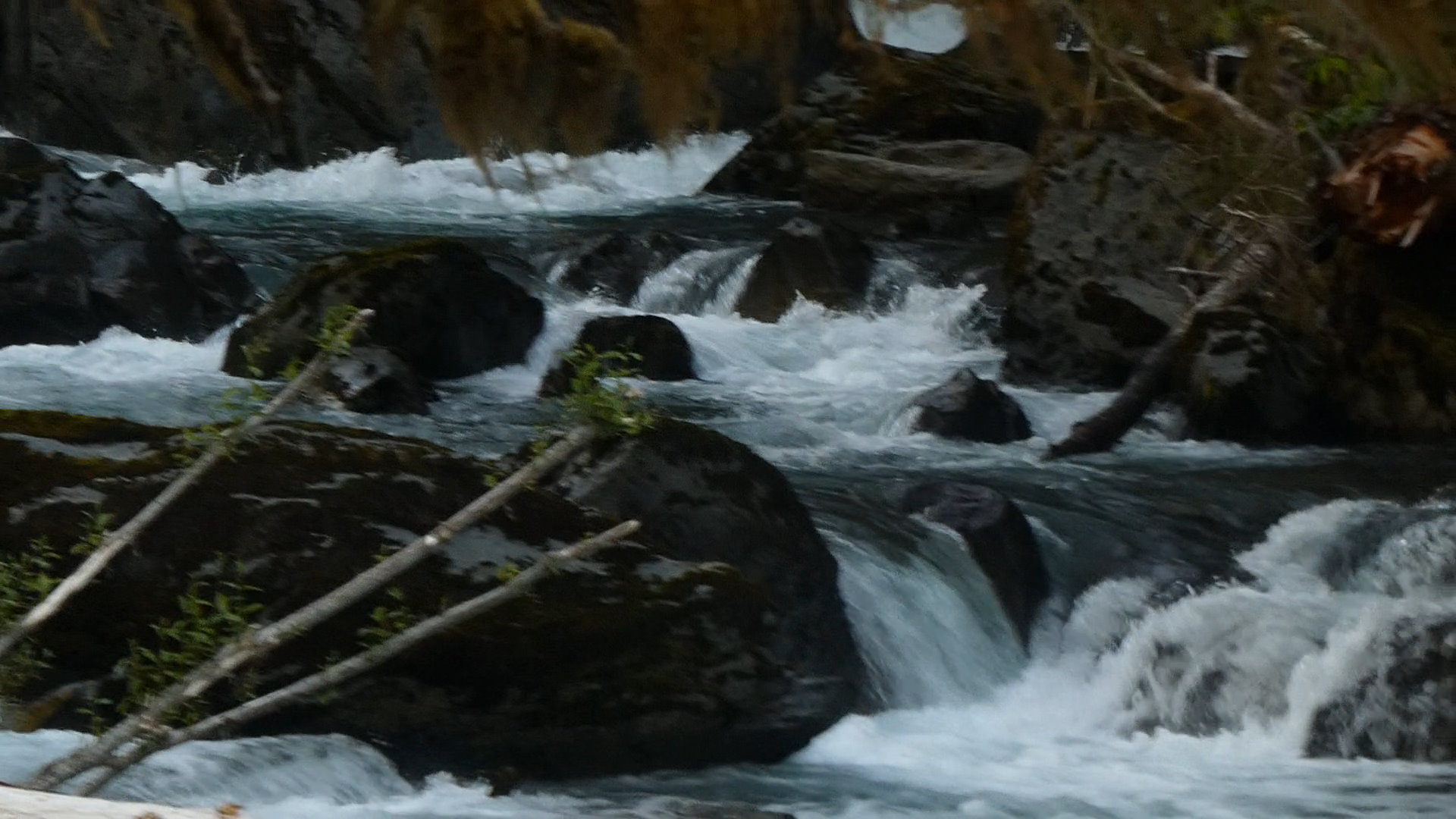 Staircase Rapids — Washington Trails Association