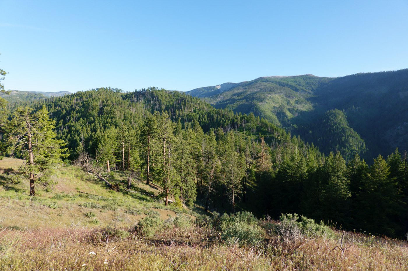 Mission Ridge — Washington Trails Association