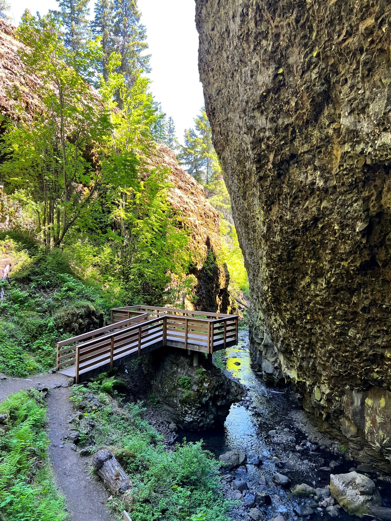 Boulder Cave — Washington Trails Association