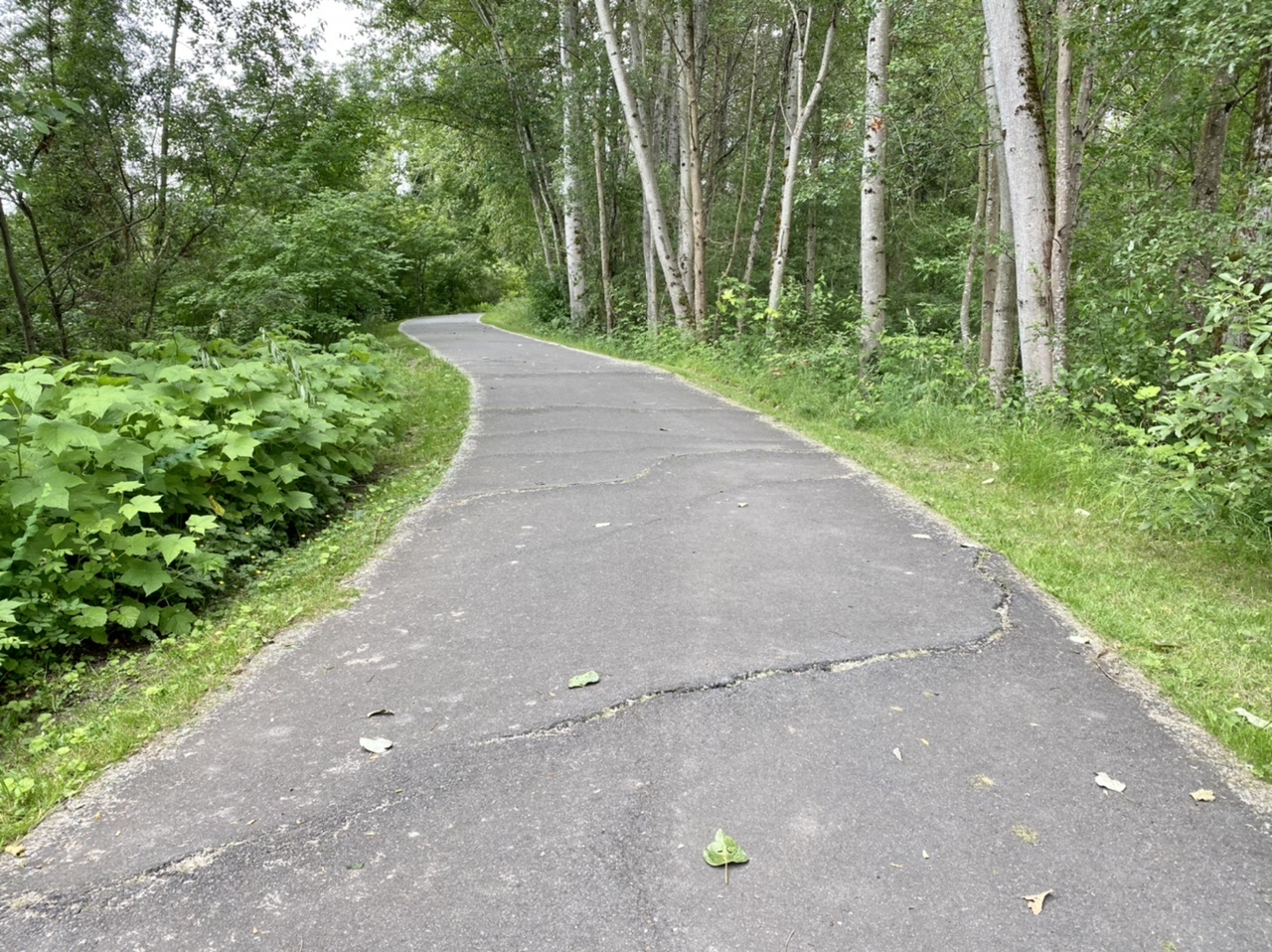 Lowell Riverfront Park Trail — Washington Trails Association