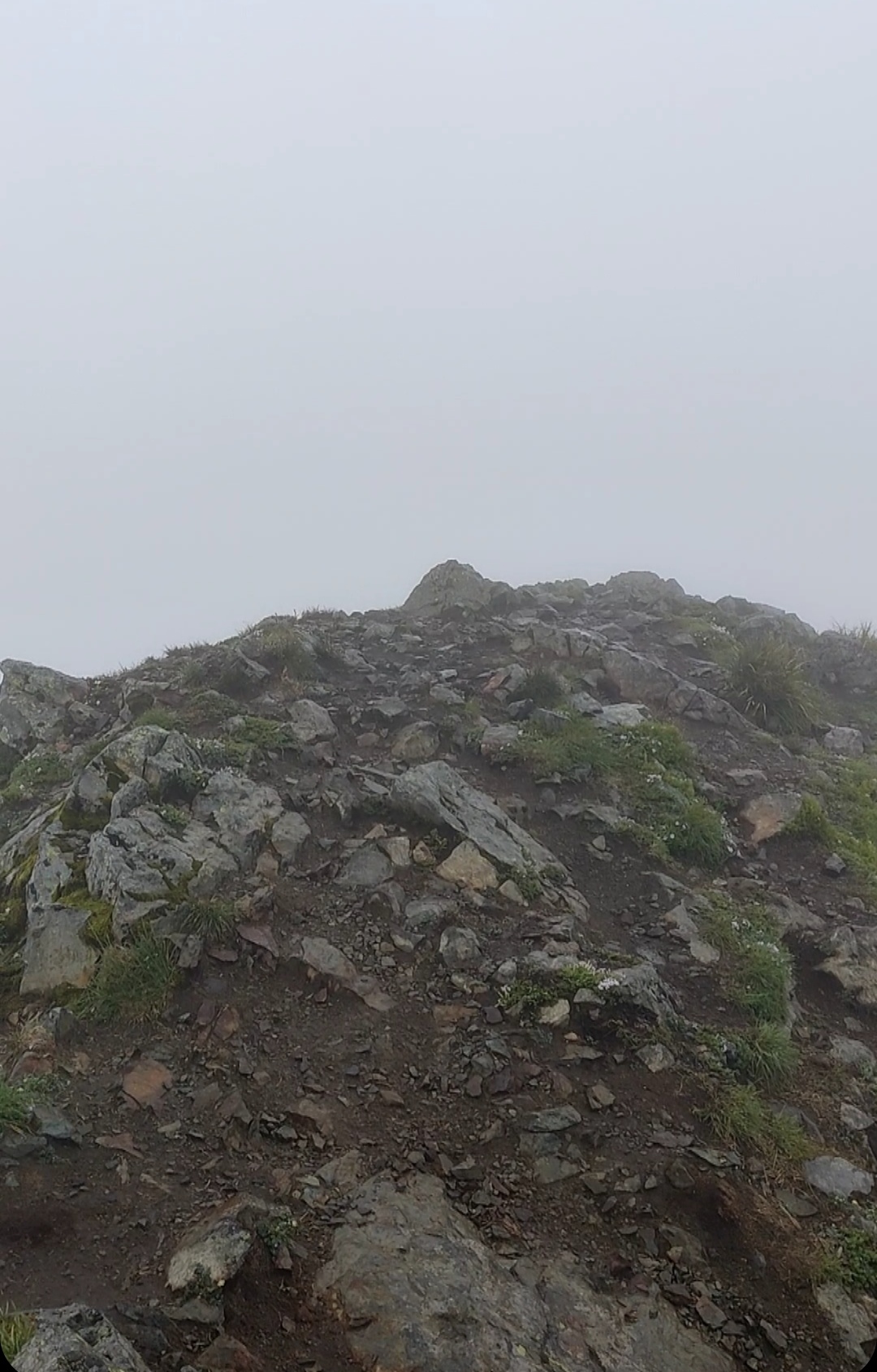 Mount Teneriffe, Teneriffe Falls — Washington Trails Association