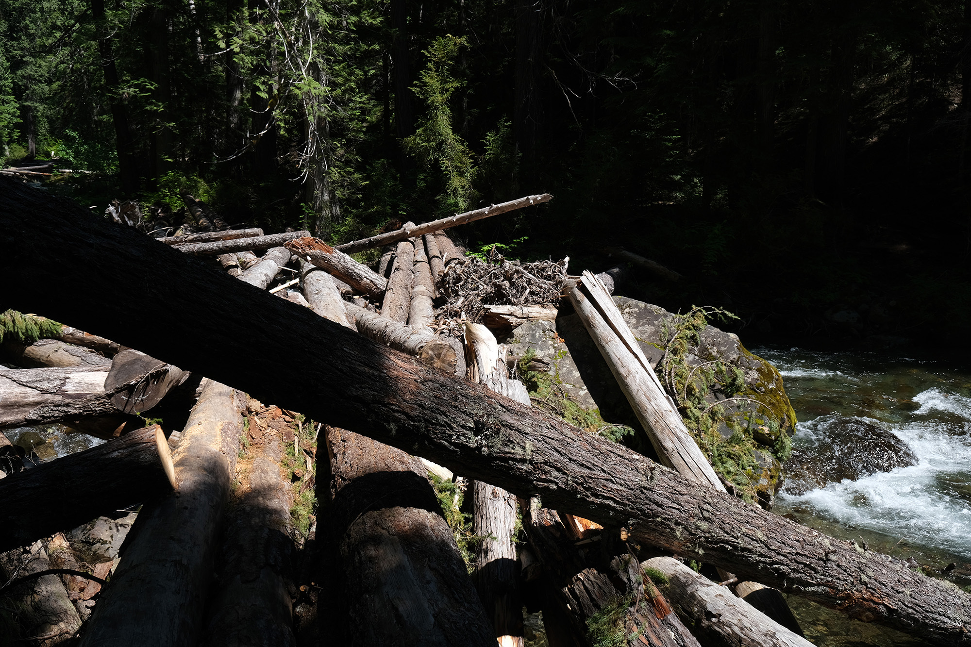 Kachess Lake — Washington Trails Association
