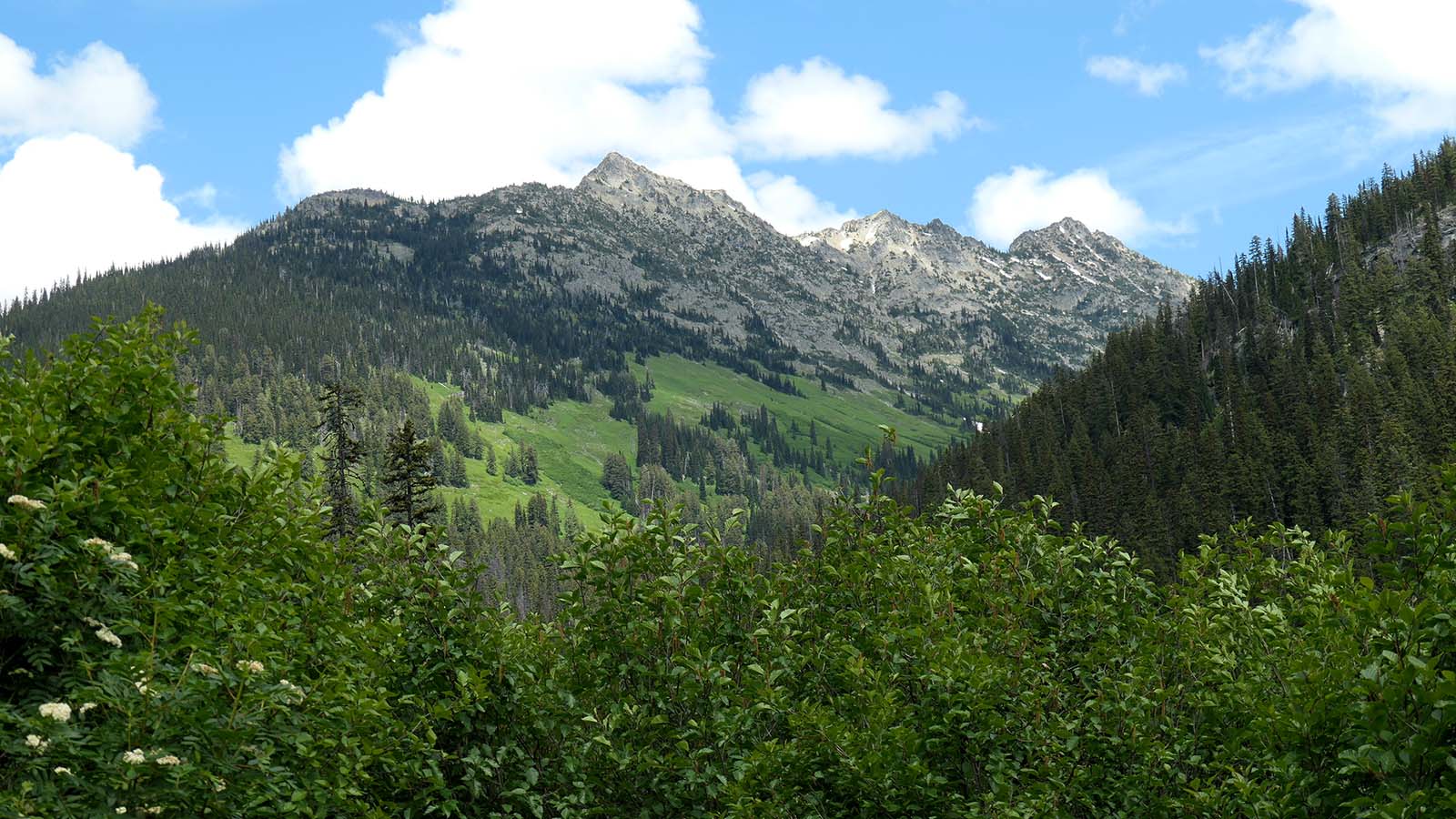 Stiletto Peak, Twisp Pass via Dagger Lake — Washington Trails Association