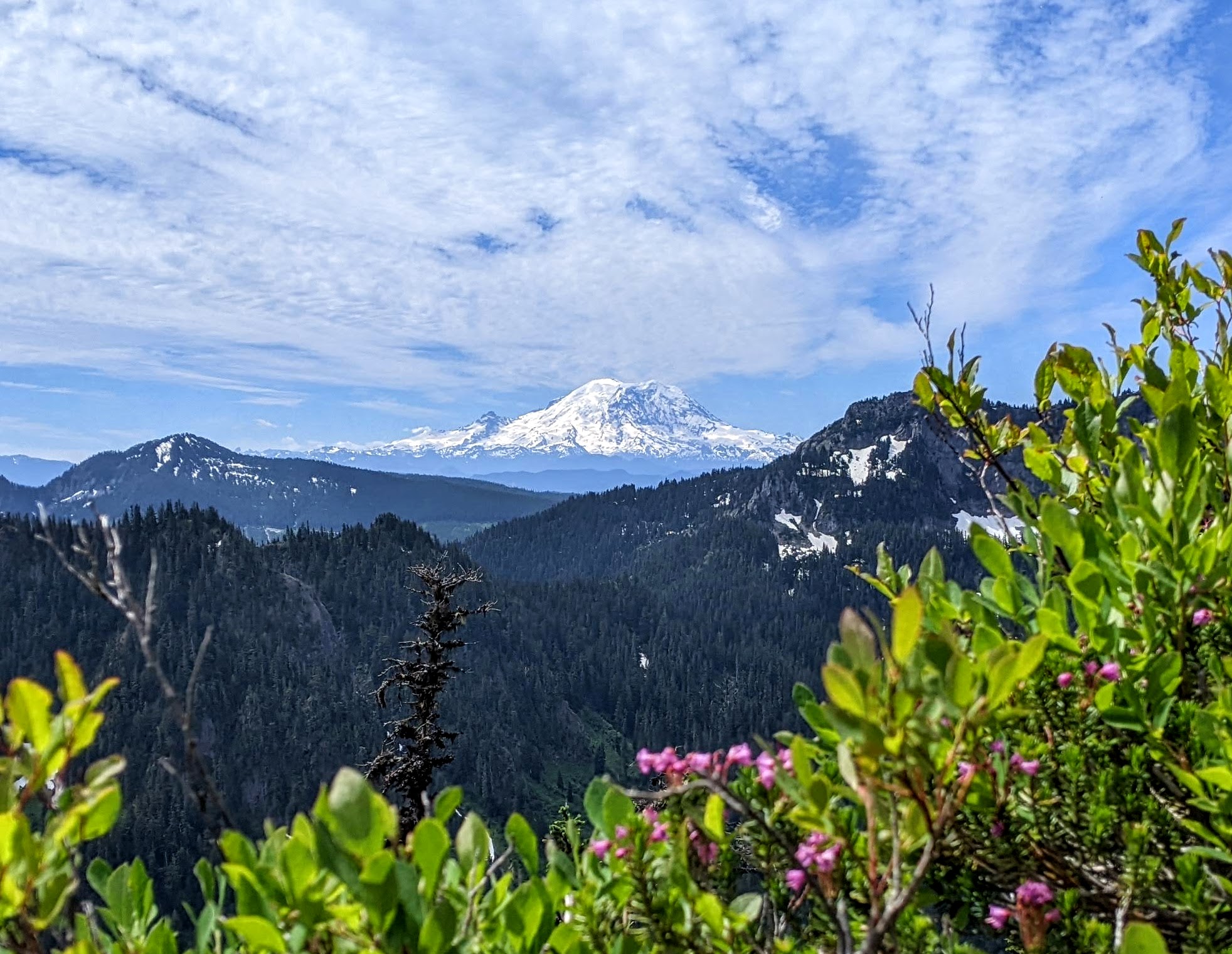 Mount Catherine — Washington Trails Association