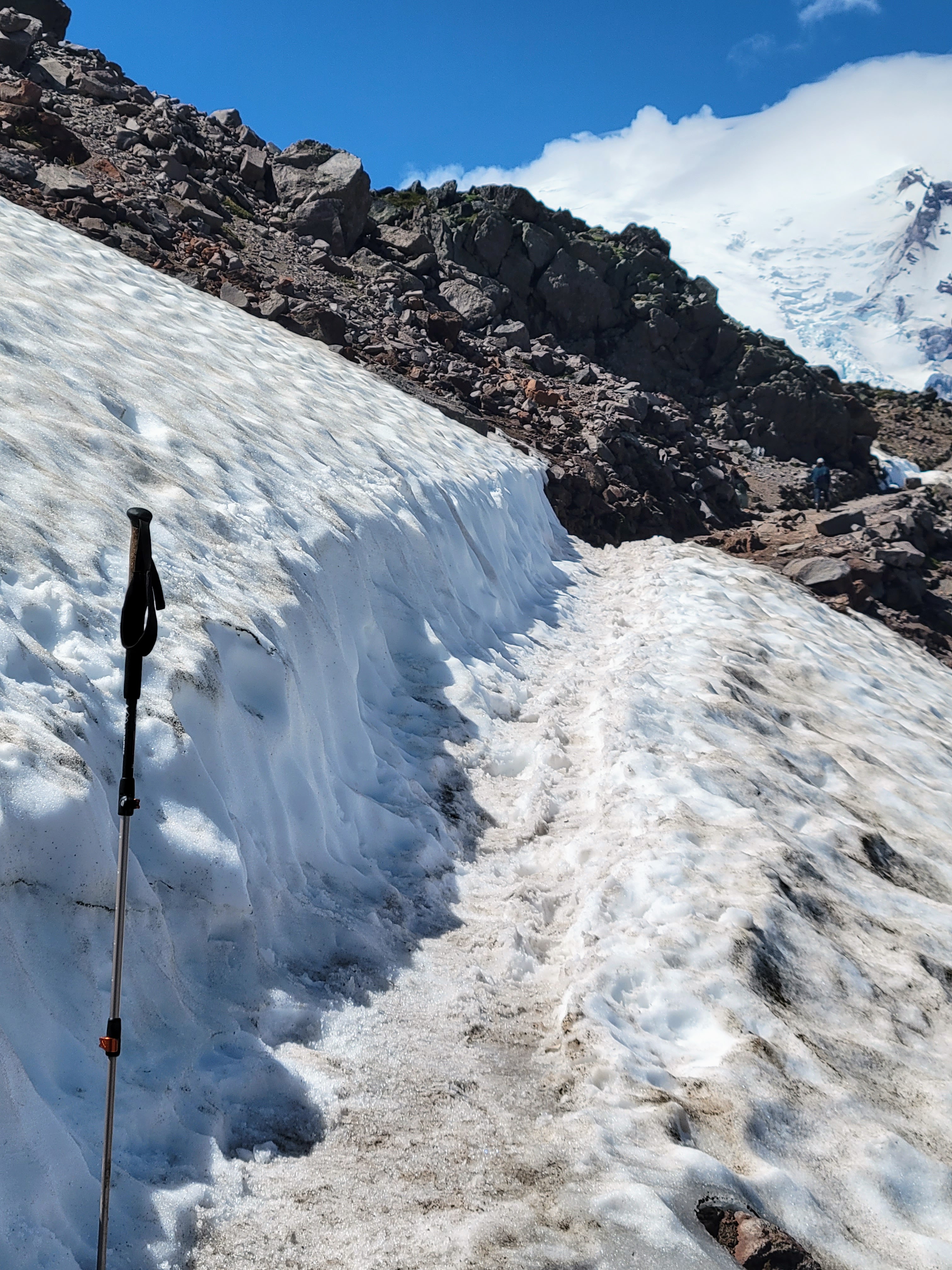 Burroughs Mountain, Berkeley Park — Washington Trails Association